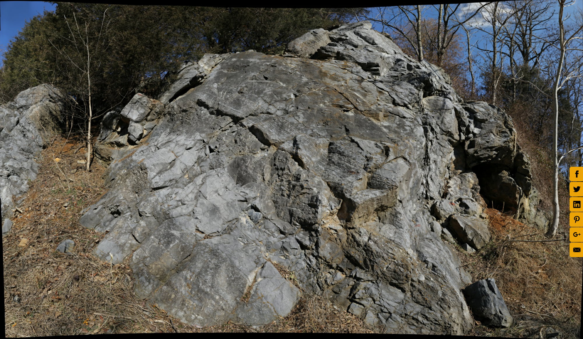 Conococheague Formation exposed near Mulberry Run, Virginia