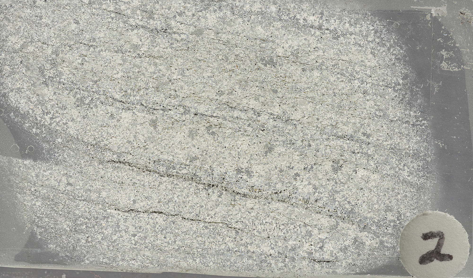 NVCC Slide: Stromatolites in thin section