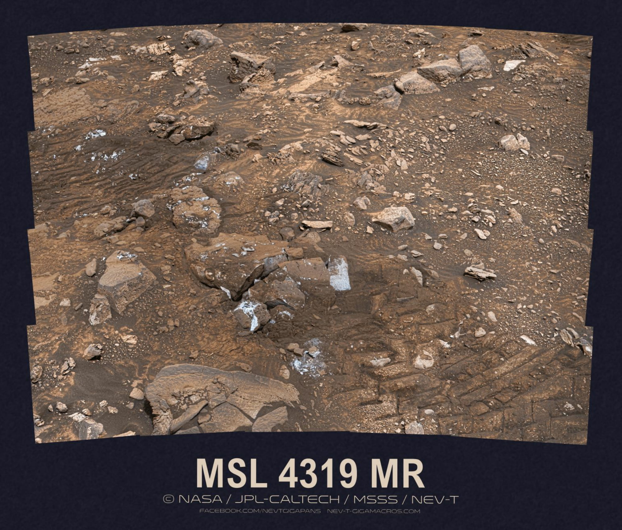 MSL 4319 MR