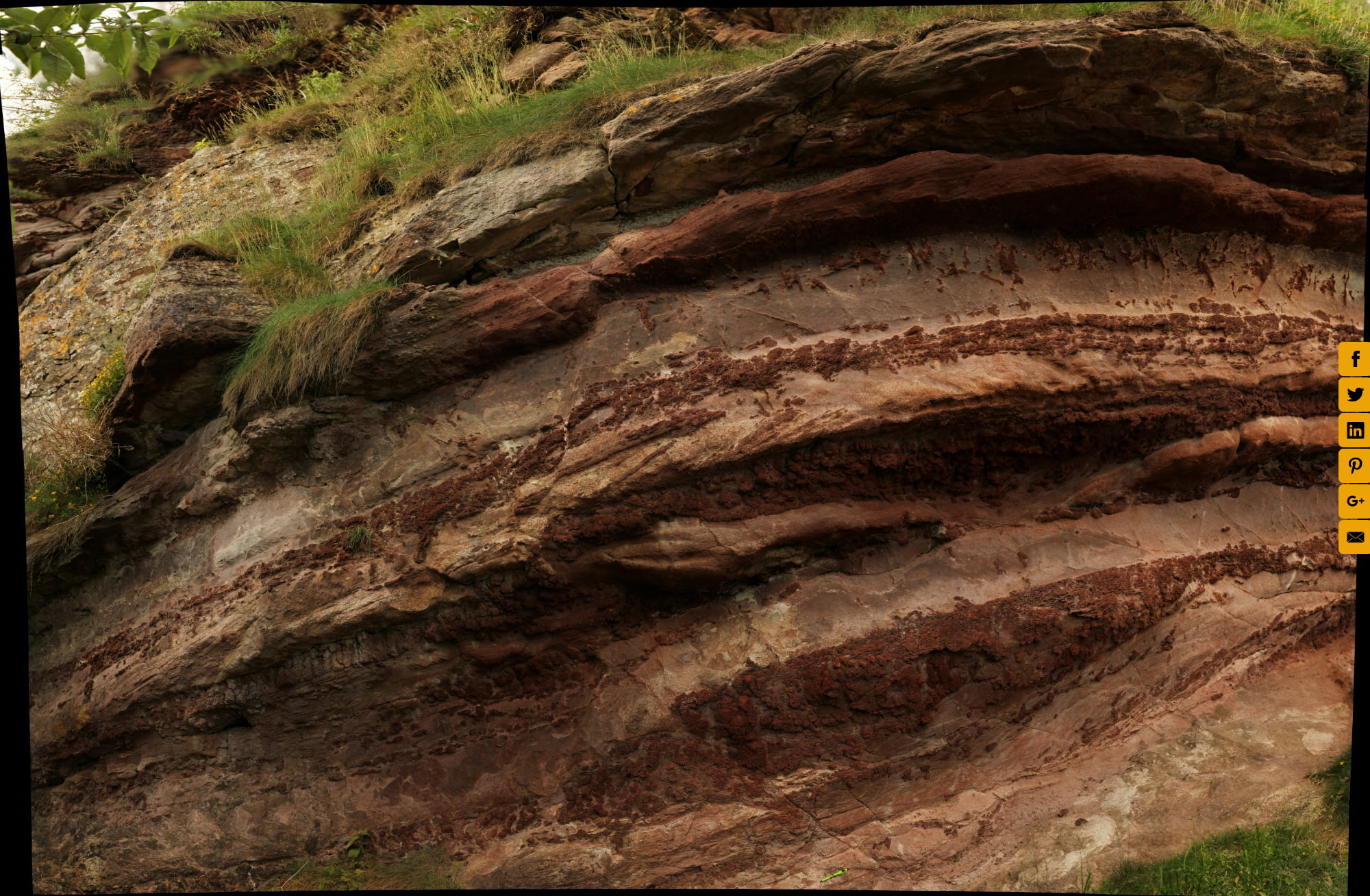 Old Red Sandstone, cliff at Dunbar, Scotland