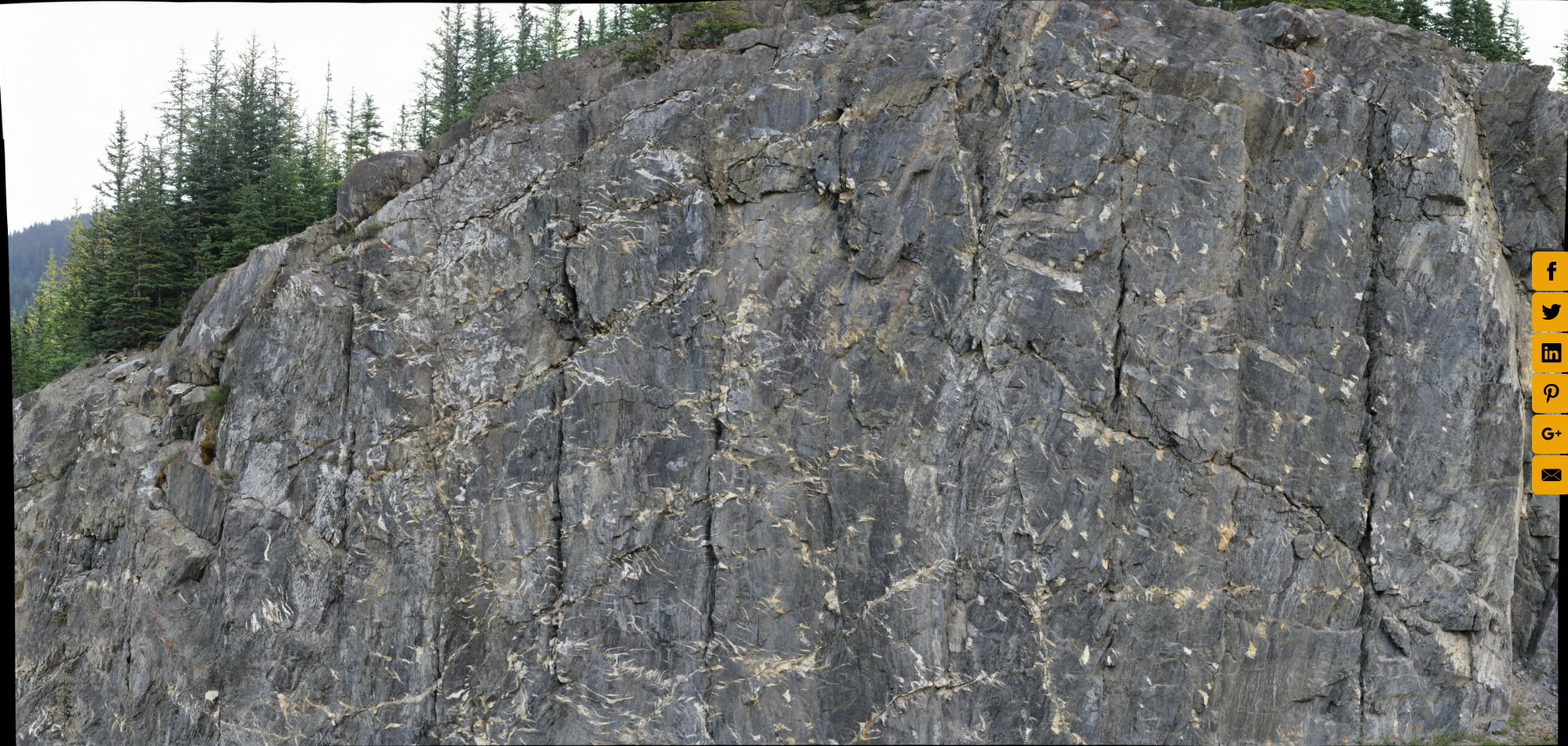 Tension gashes in Cambrian Bison Creek Formation, Jasper National Park ...