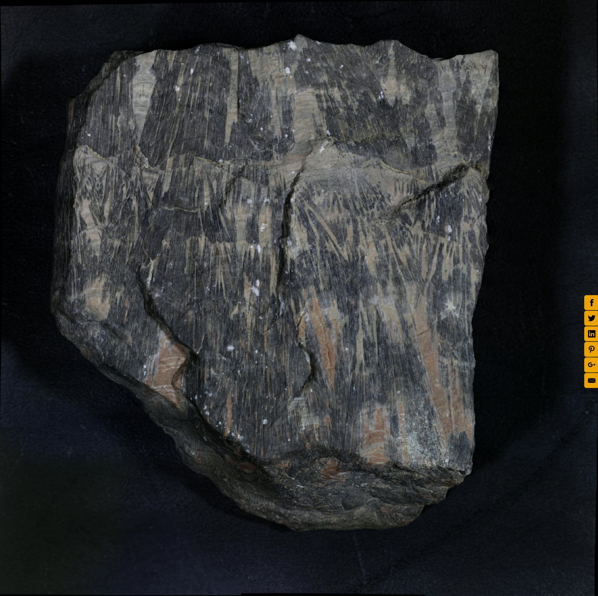 Snowball Earth Educational Rock Sample Suite PFH-3