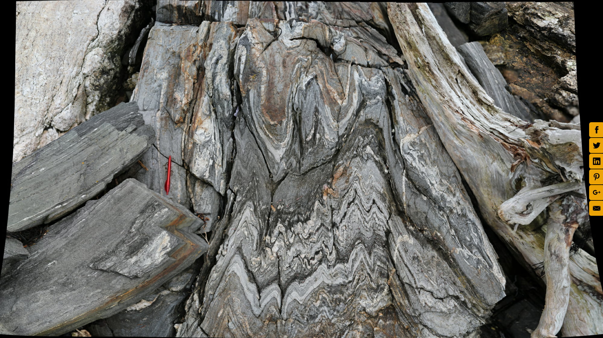 Folded metamorphic rocks exposed along the shore of Cabbage Island, Maine