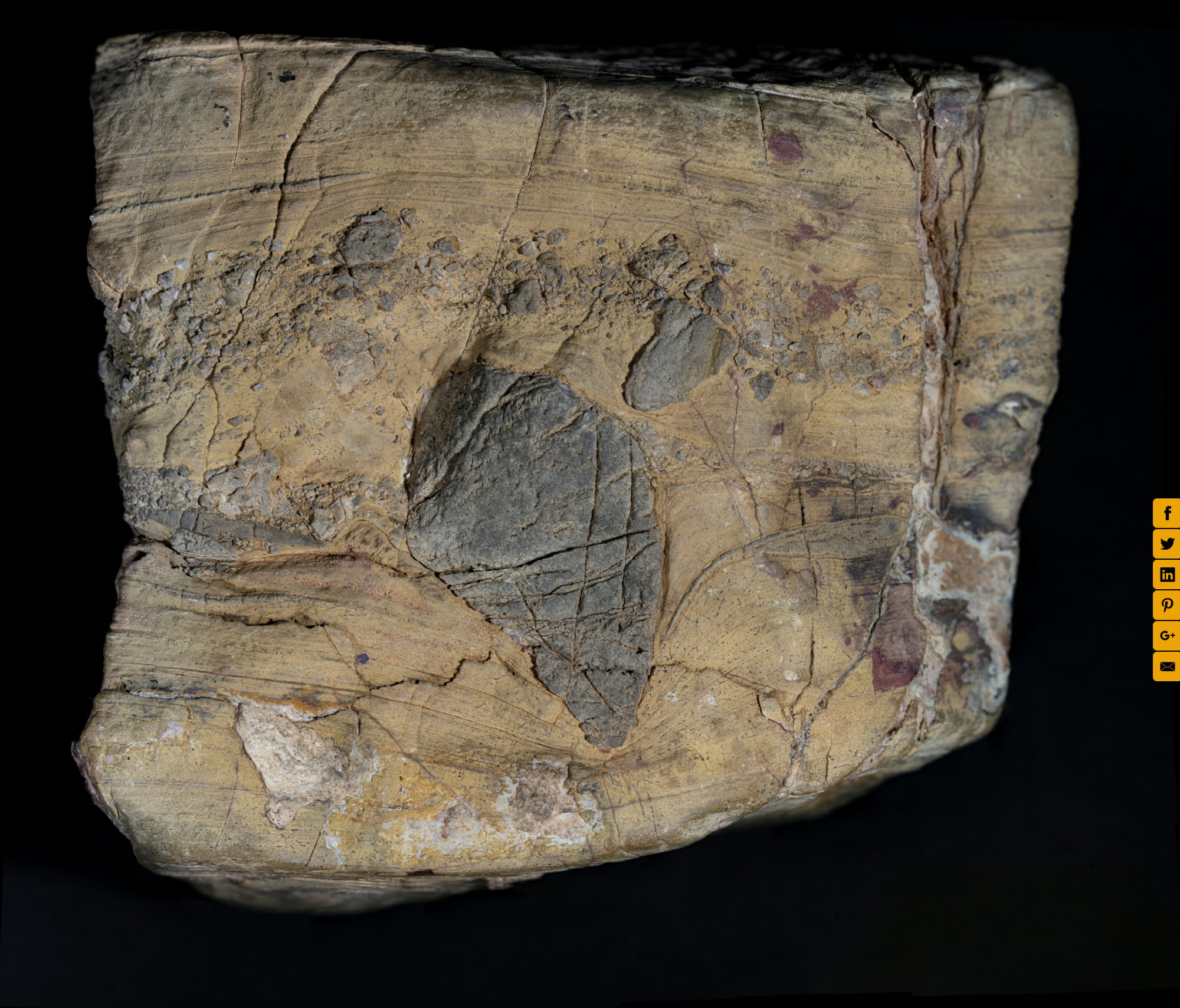 Ghaub Formation diamictite with Snowball Earth glacial dropstones