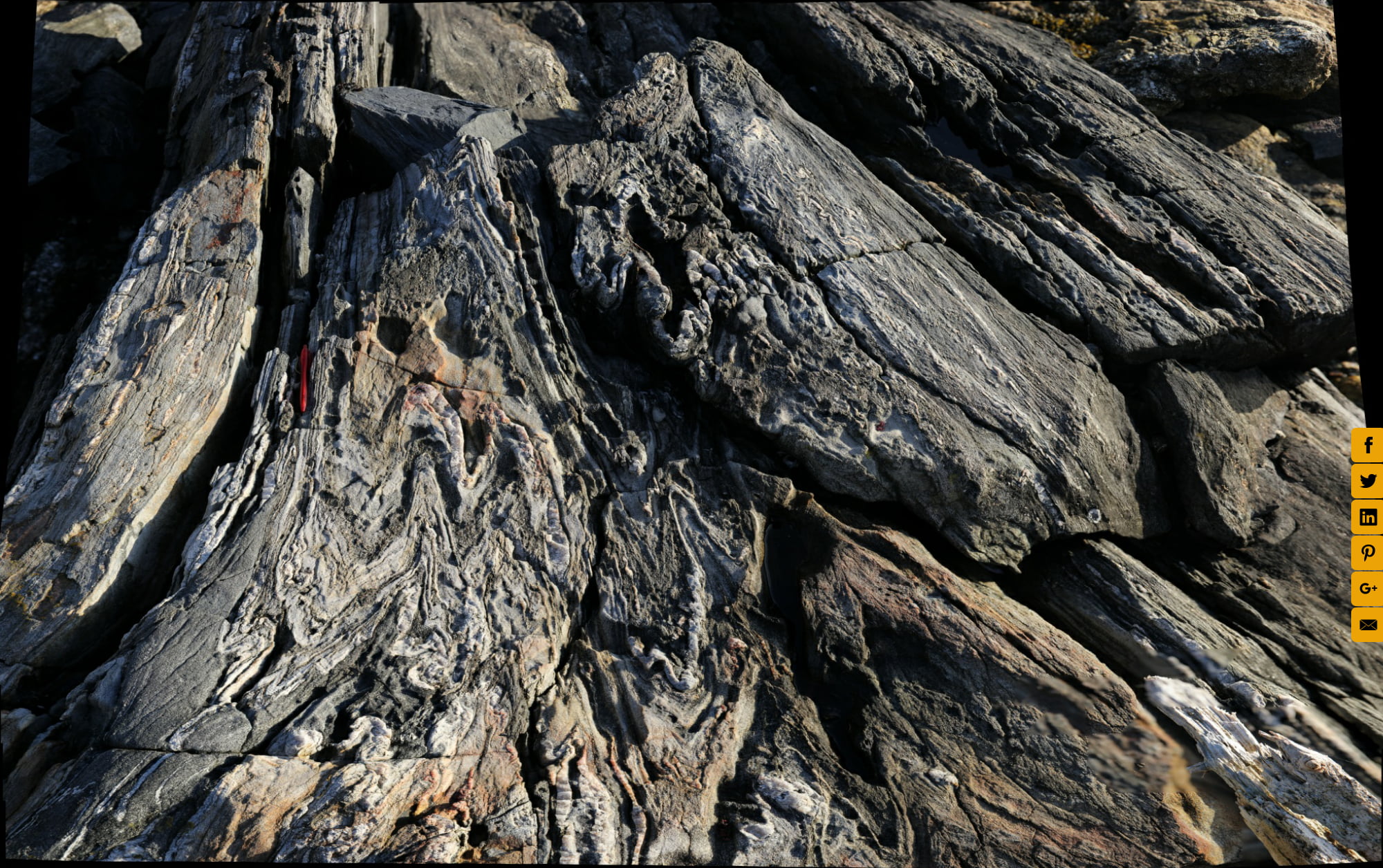 Folded metamorphic rocks exposed along the shore of Cabbage Island, Maine