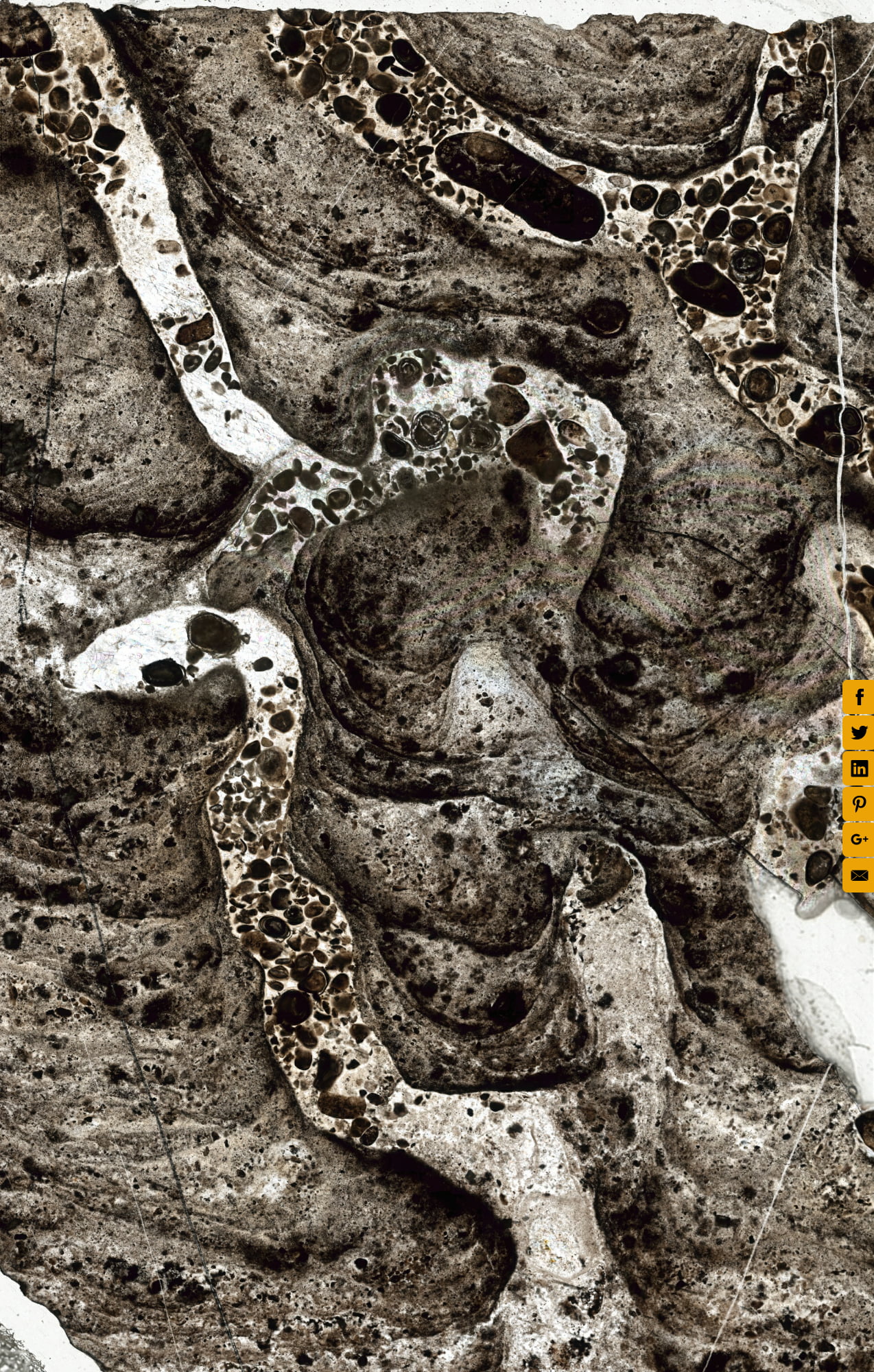 Gunflint Formation SCHW 39A