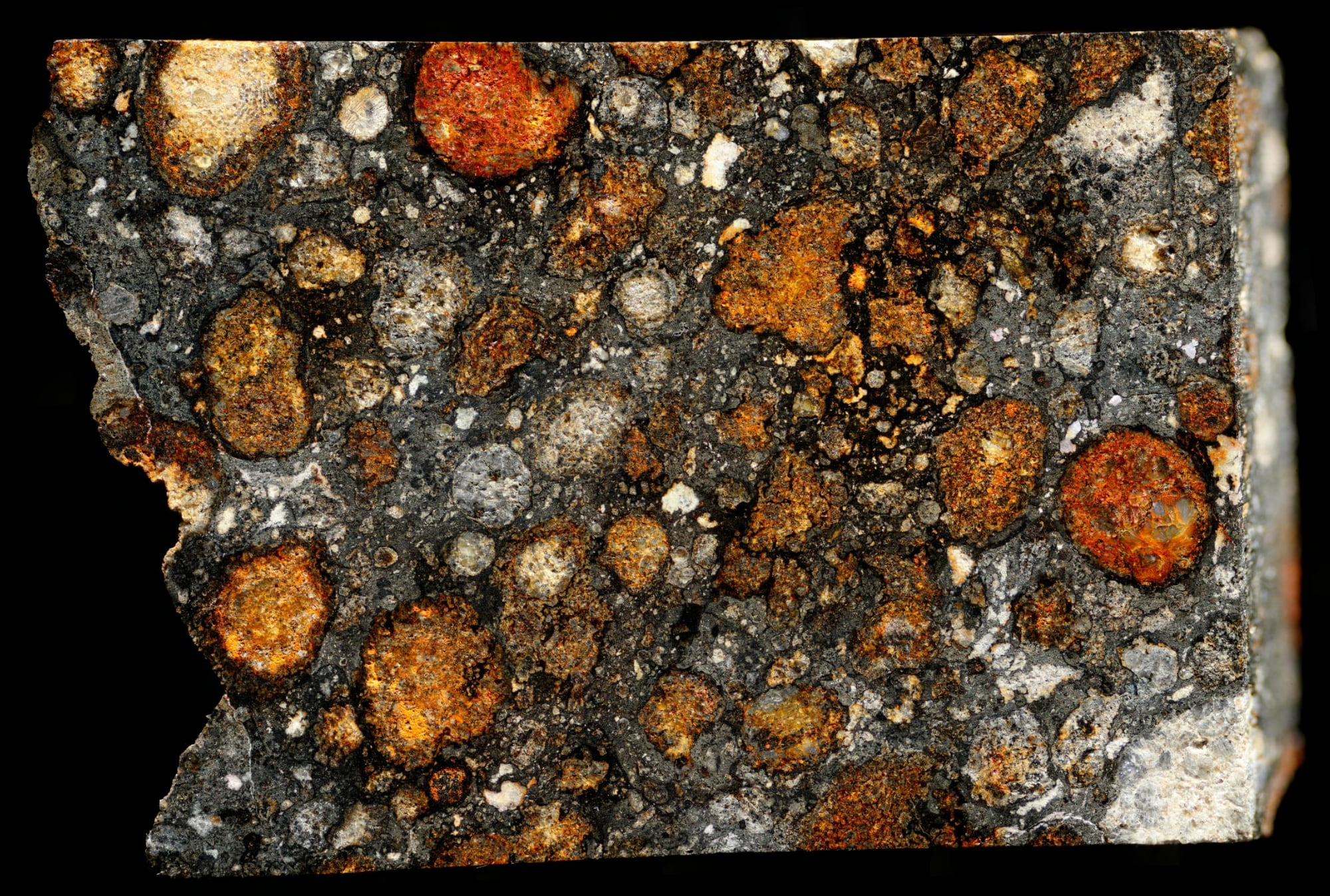 NWA 10289 (CV3) meteorite