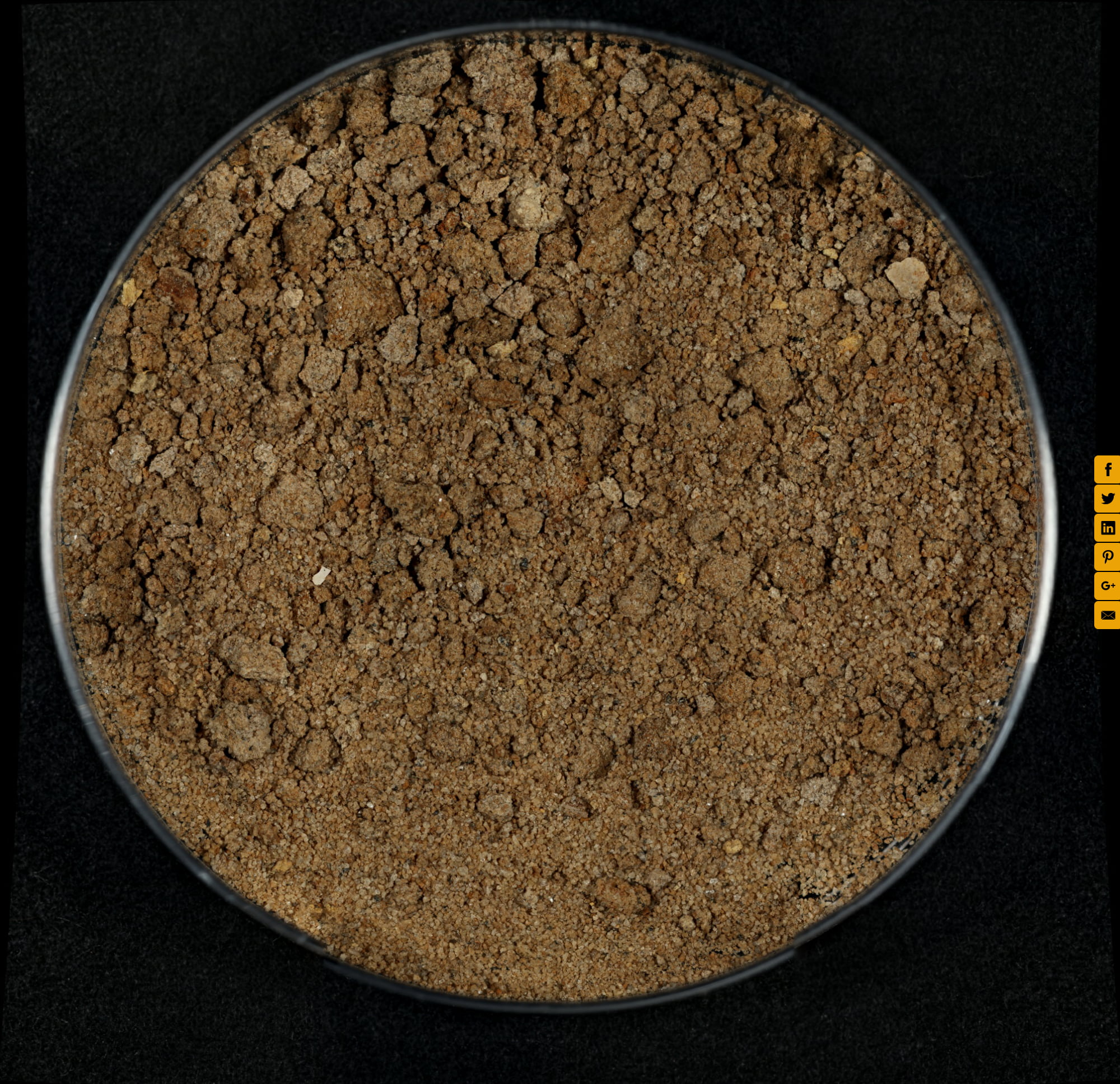 Sediment from the Calvert Formation, Base of Zone 10