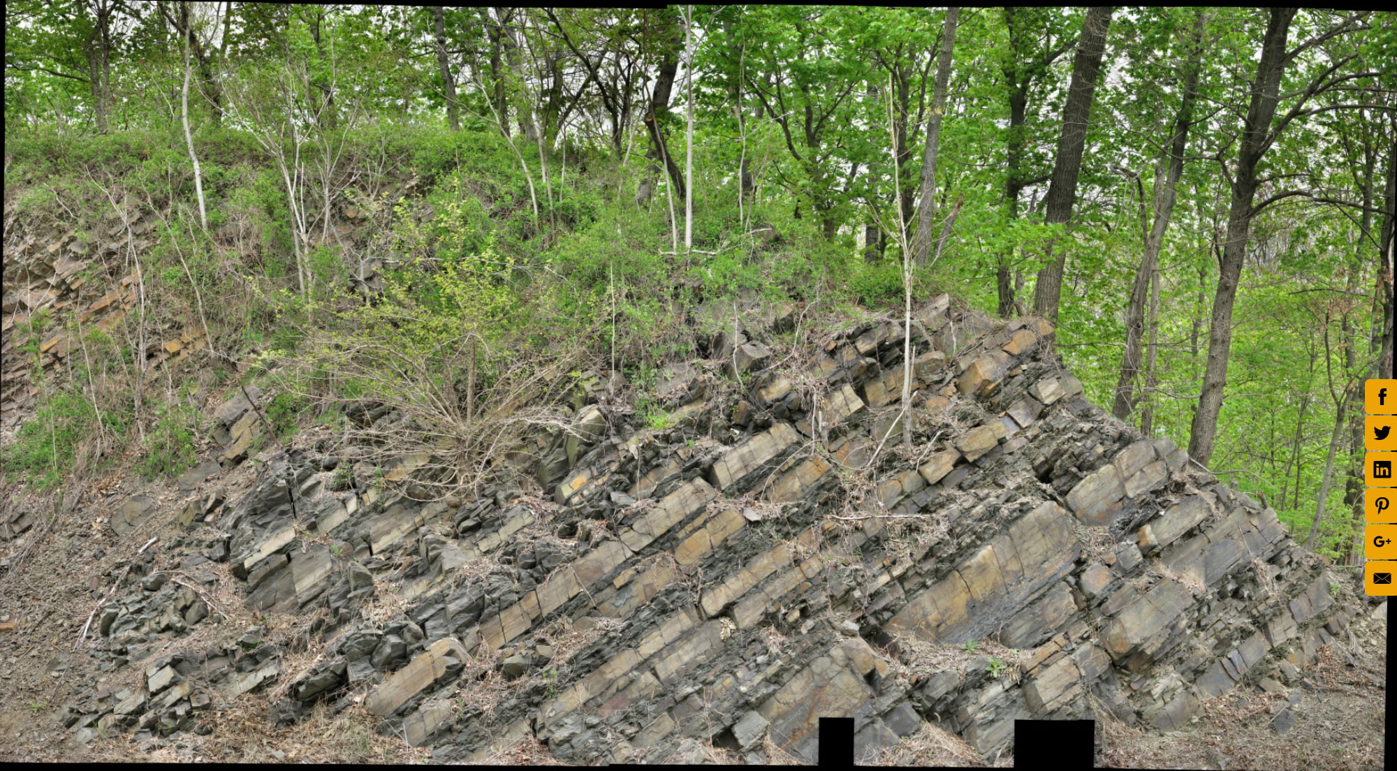 Trimmers Rock Bouma sequences