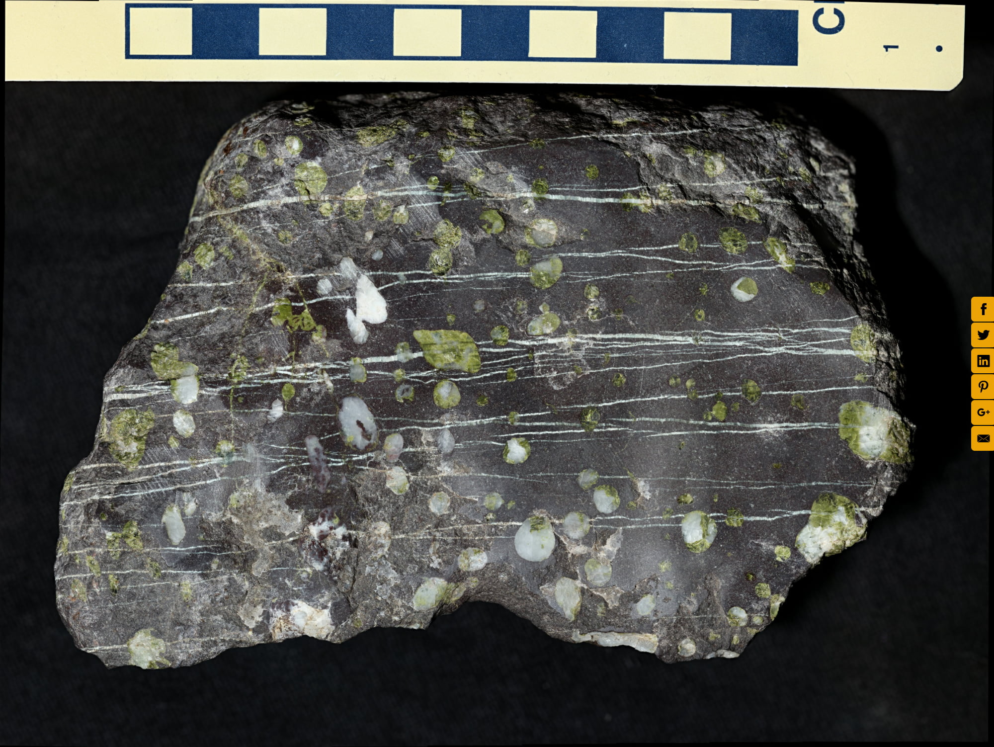 Catoctin Formation metabasalt showing amygdules and asbestos veins