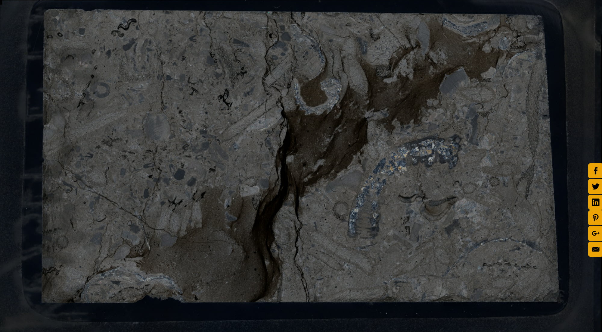 Keyser limestone, crossed polars