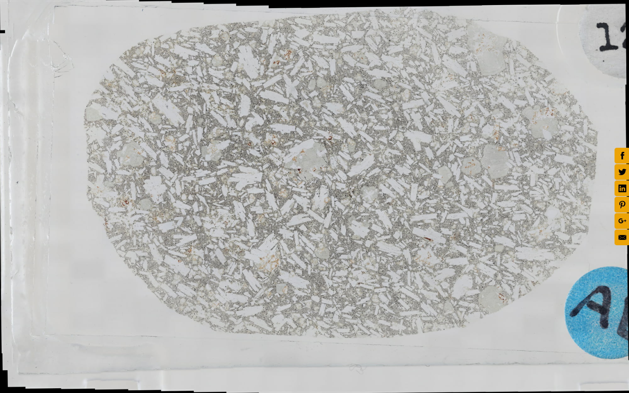 Porphyritic Andesite, Plane Polars