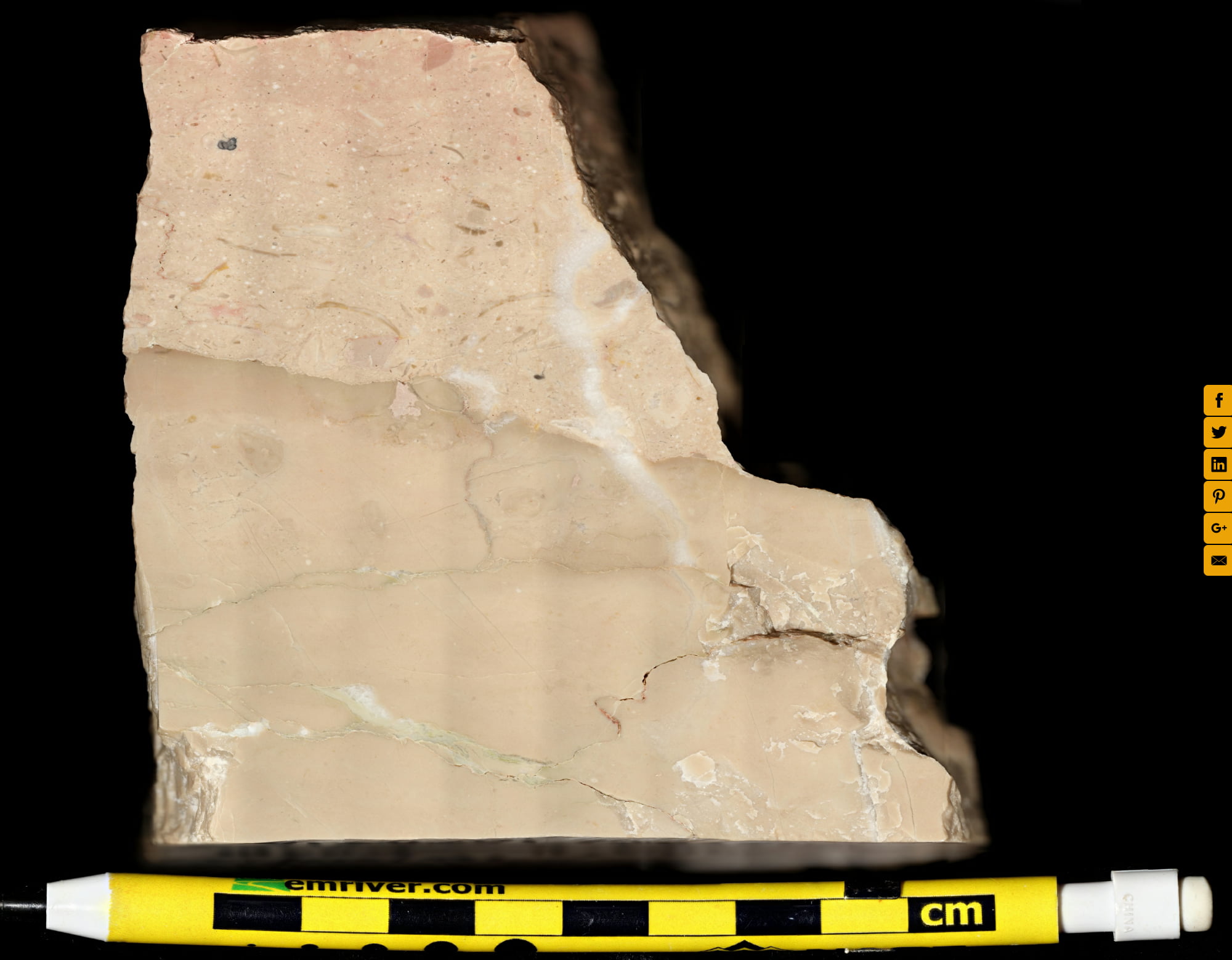 Relative dating example 10