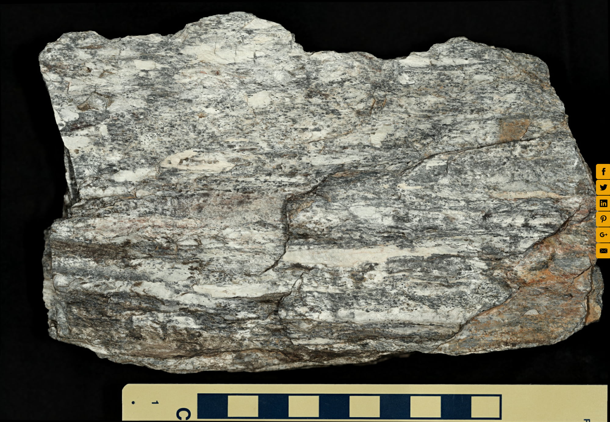 LS tectonite, Phoenix Mountains, Arizona