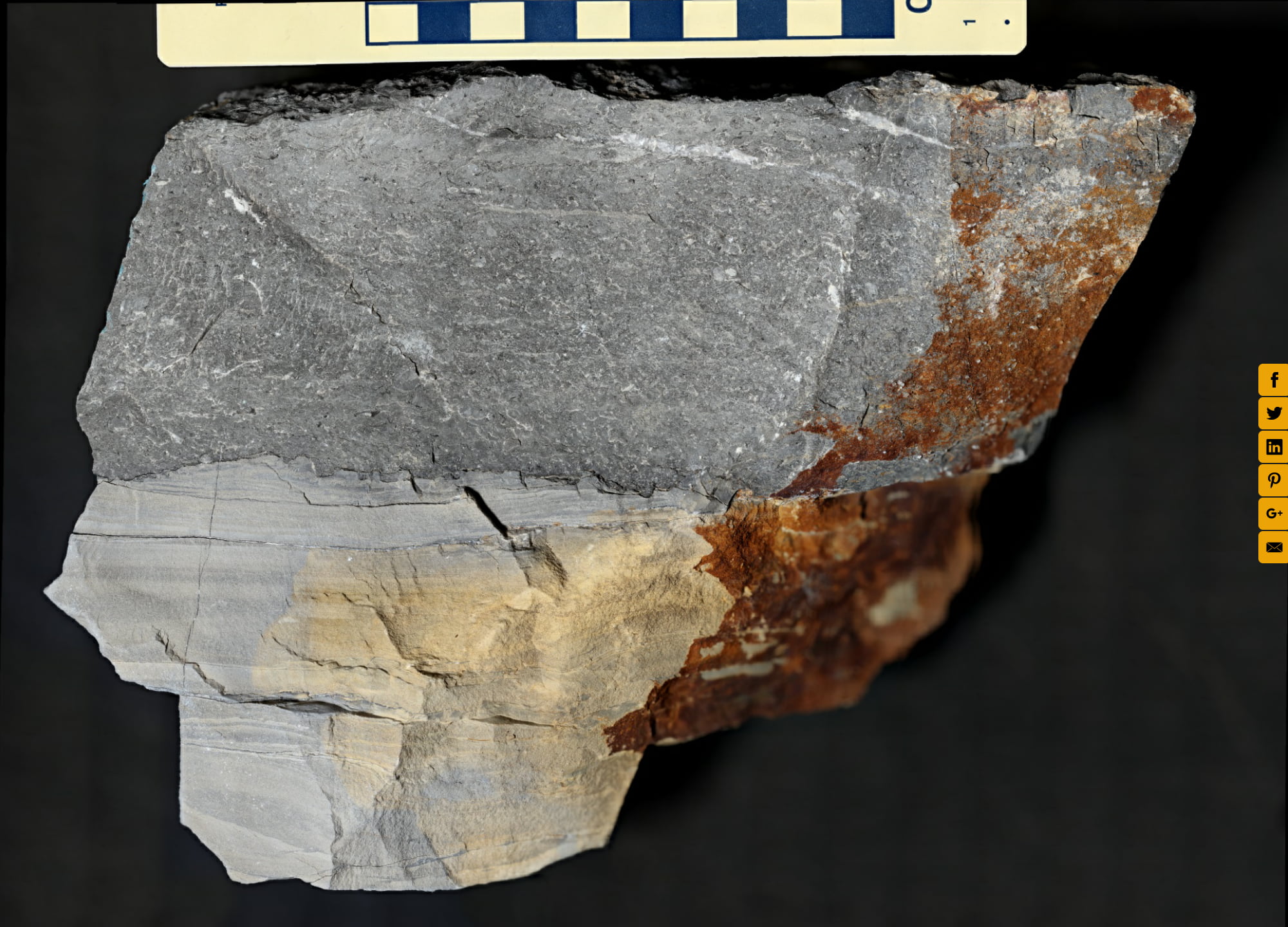 Stylolite in Helderberg Group limestone, West Virginia