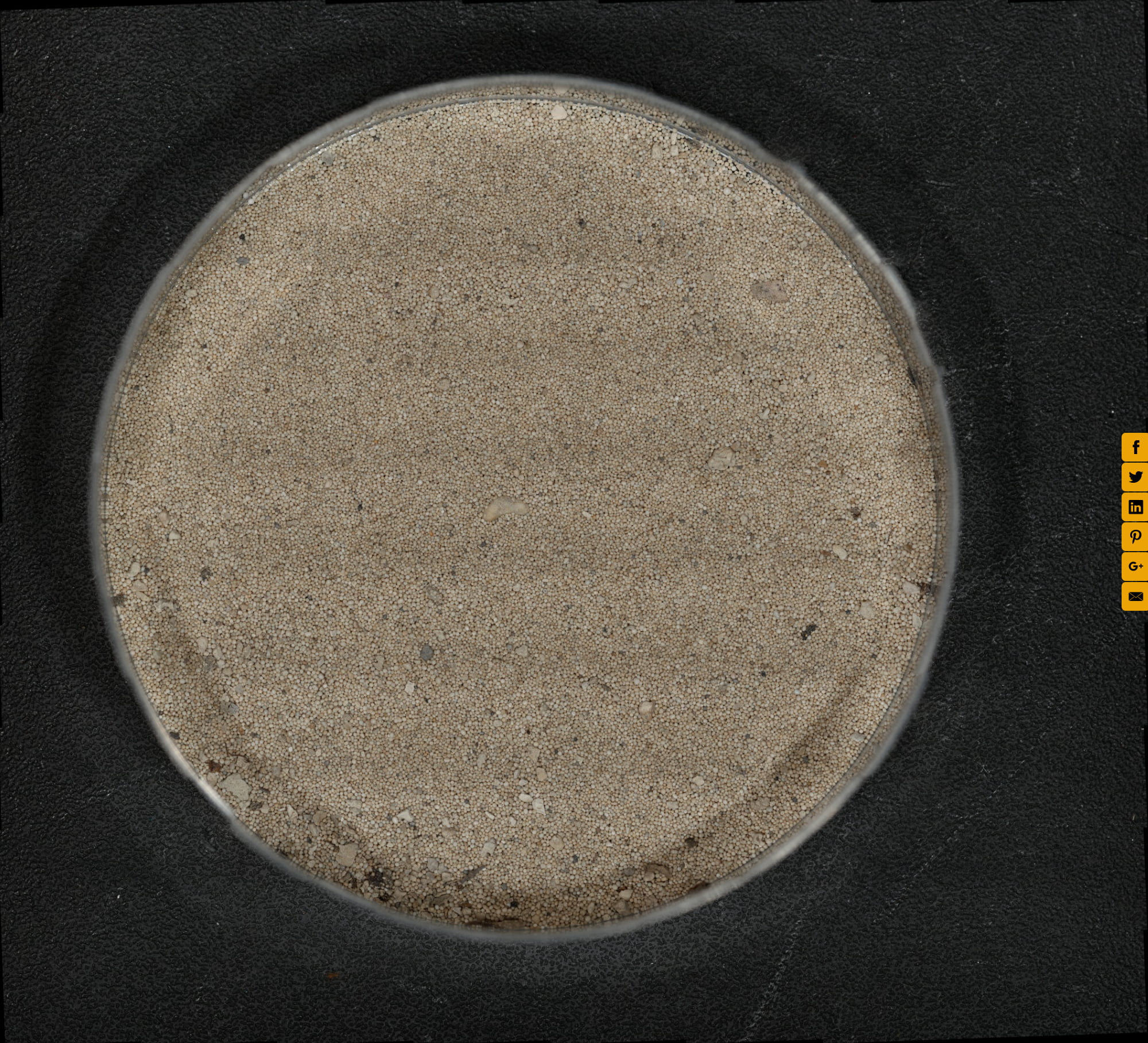 Unknown Sediment Sample