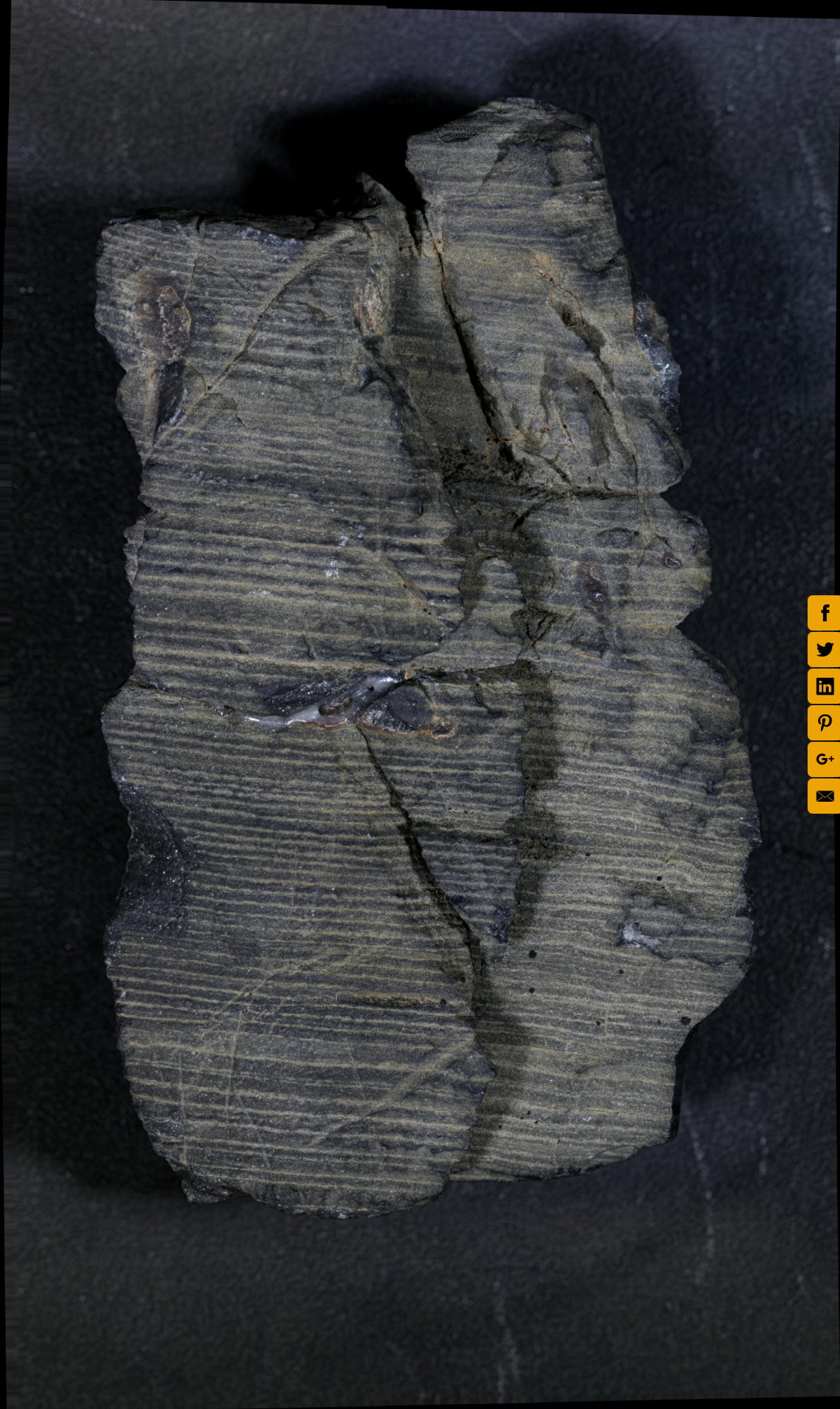 Snowball Earth Educational Rock Sample Suite AB-1