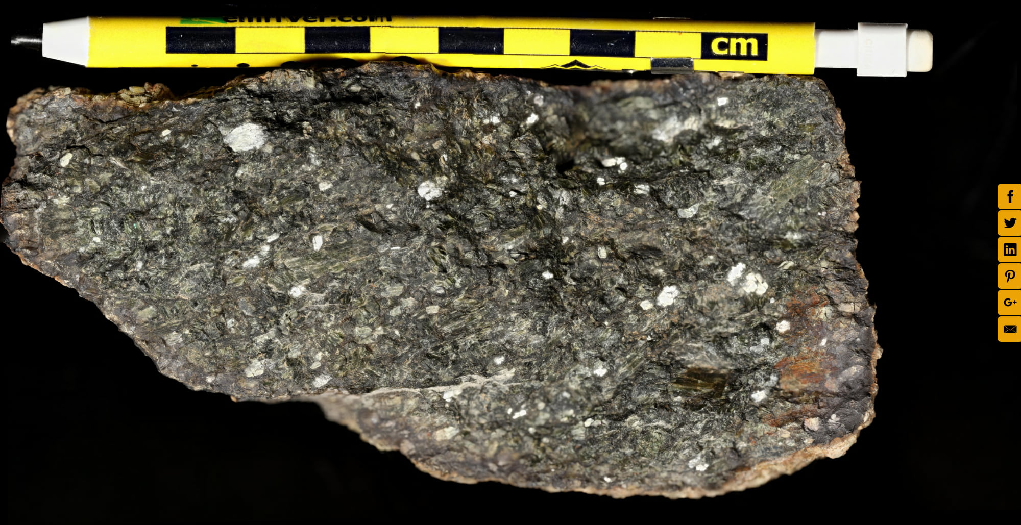 Peridotite from the Josephine Ophiolite