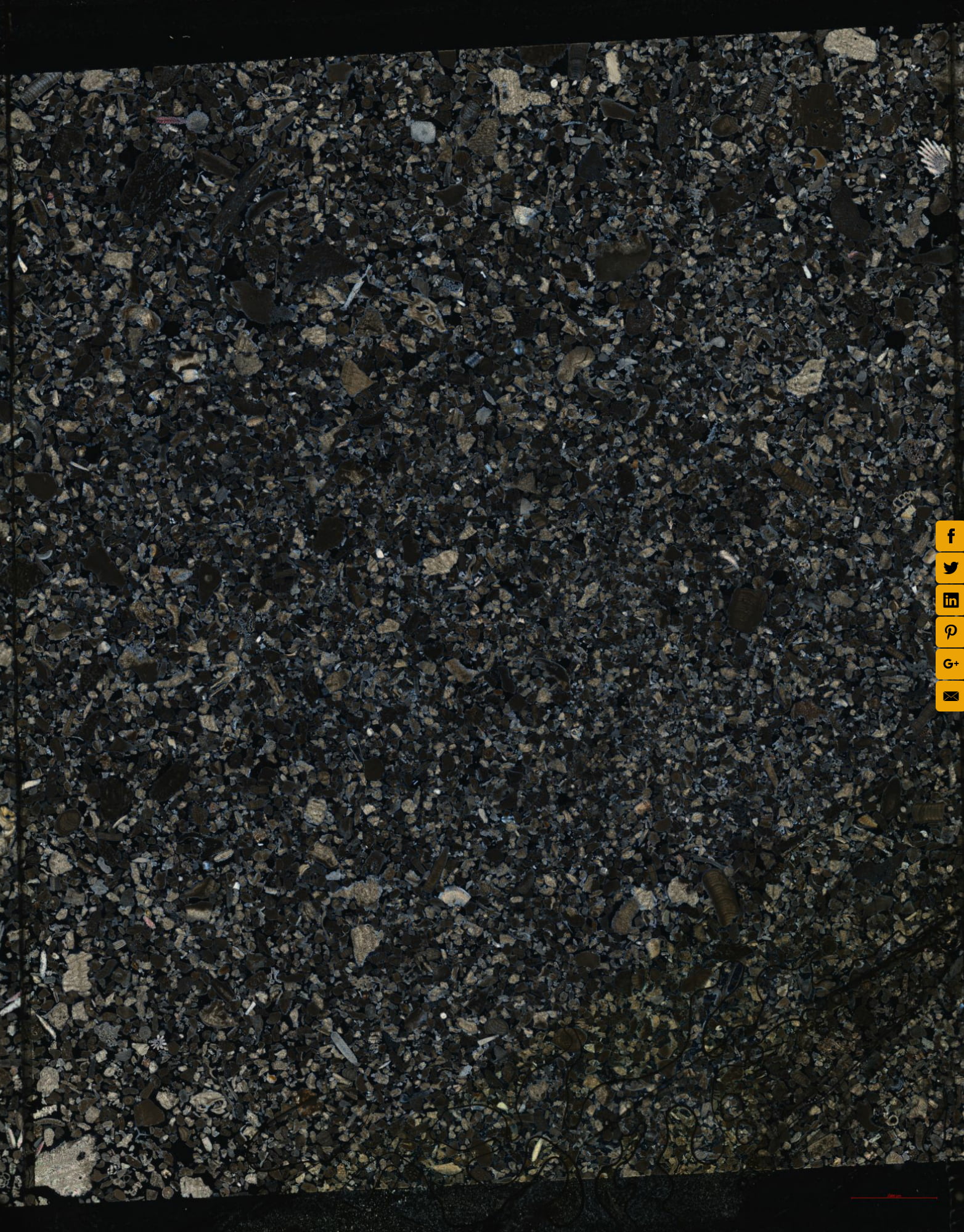 Groove Barrier 10_5x_XPL