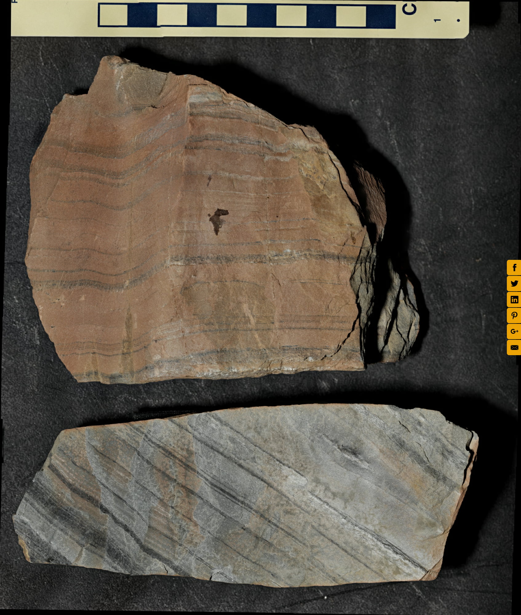 Metamorphic Rocks Lab Sample F1 and F2