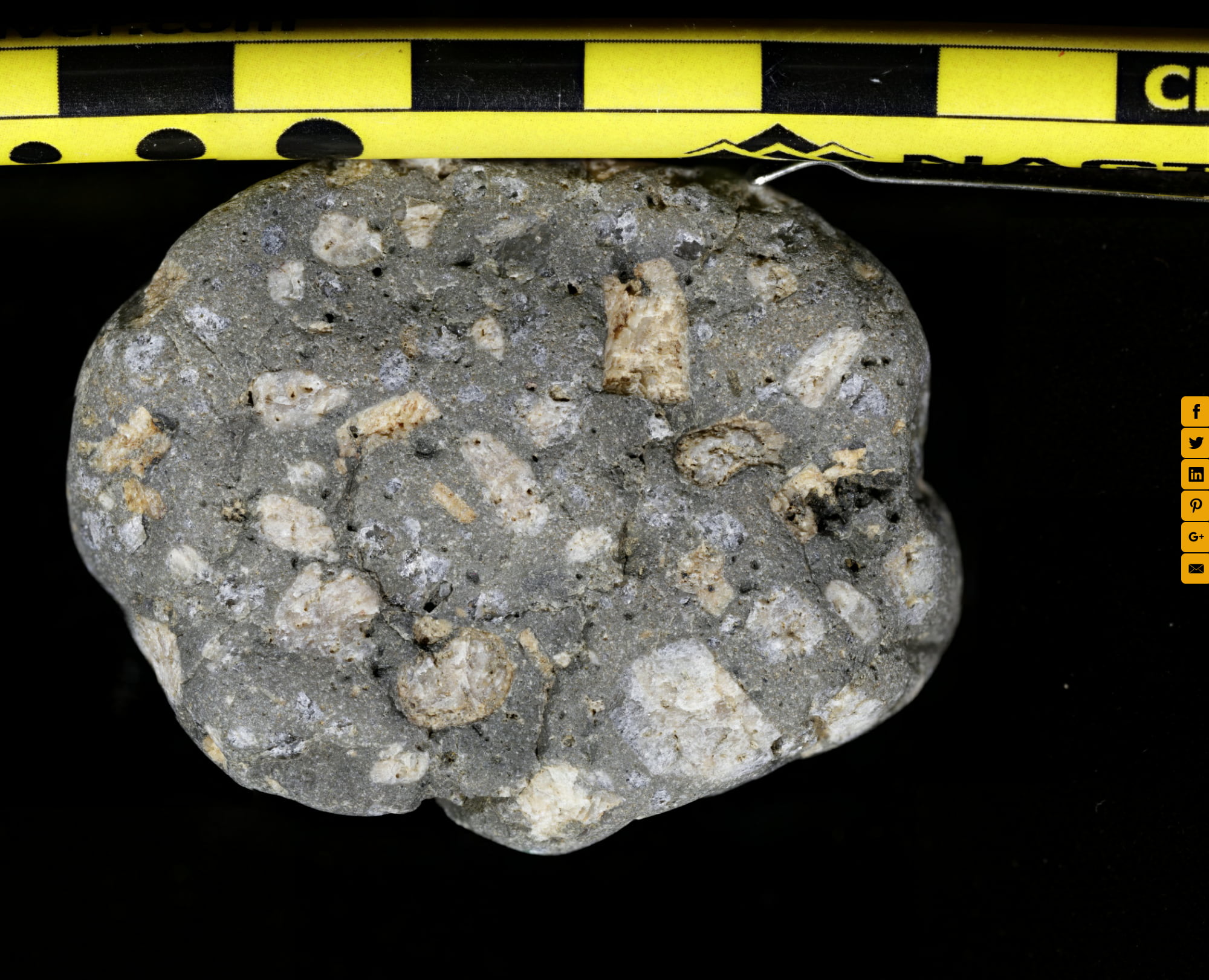 Porphyritic dike rock, Blackwaterfoot, Arran, Scotland