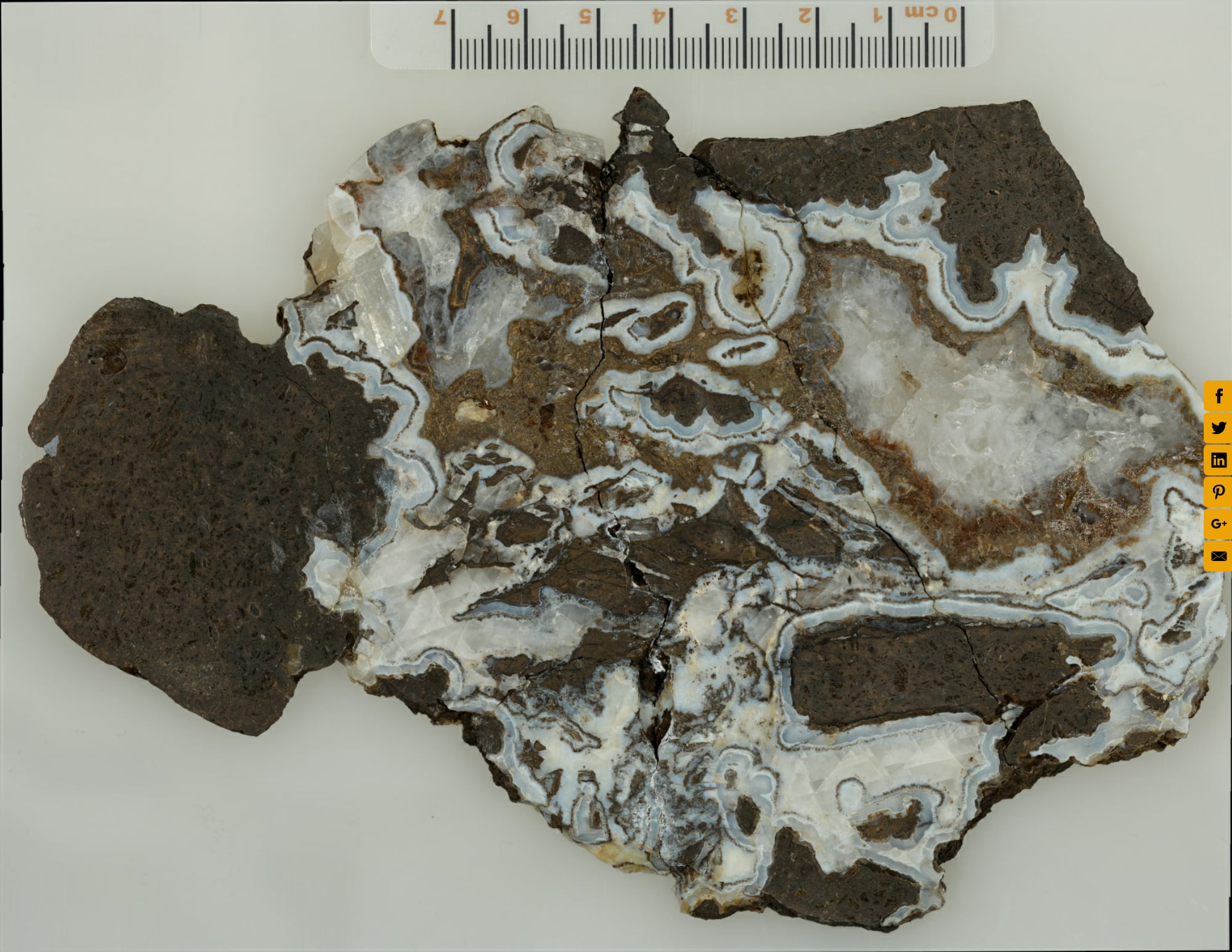 Volcaniclastic Breccia from Mount St. Helens