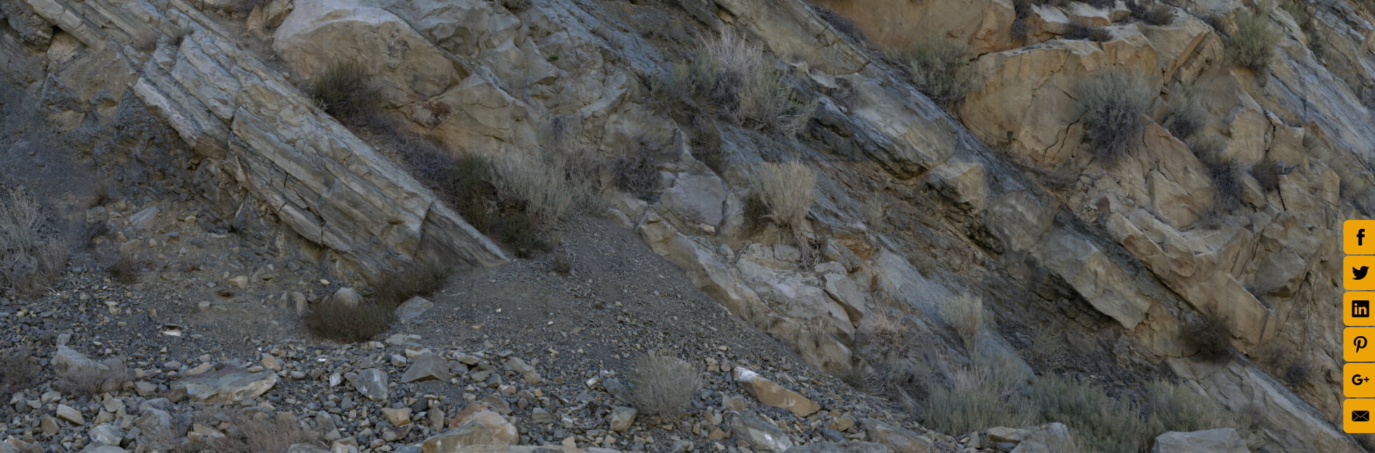 Segement of Upper Piru Gorge Sandstone, Ridge Basin, CA