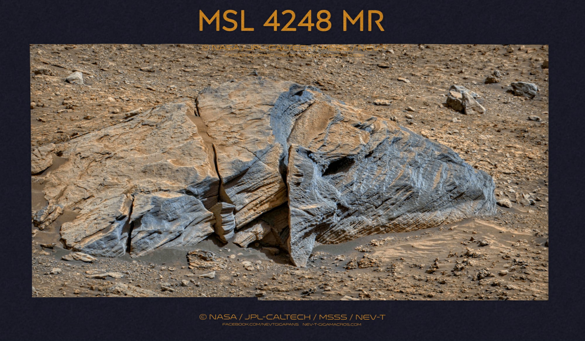 MSL 4248 MR