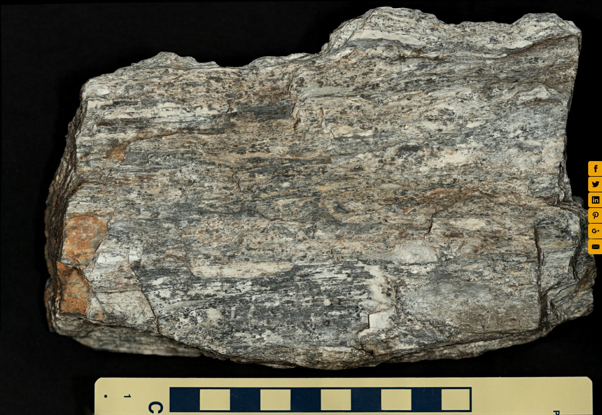 LS tectonite, Phoenix Mountains, Arizona