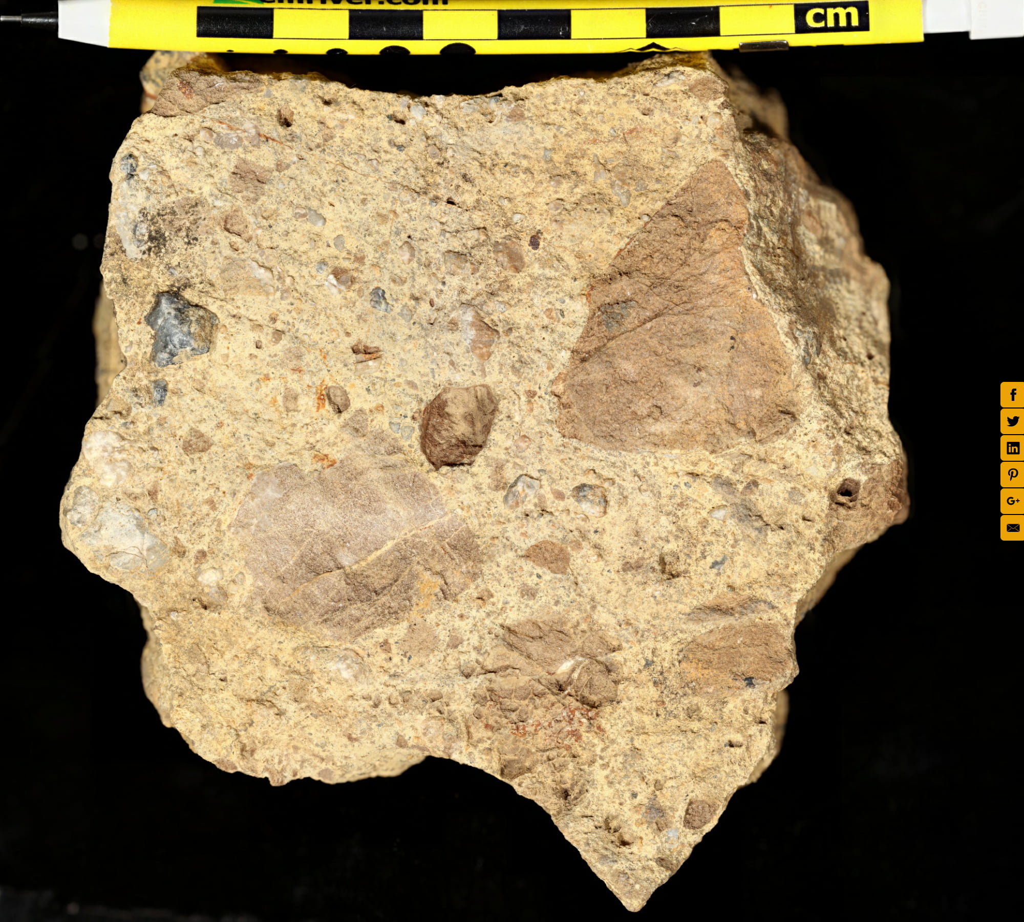 Fault breccia from the scarp of the Hebgen Lake Fault, southern Montana
