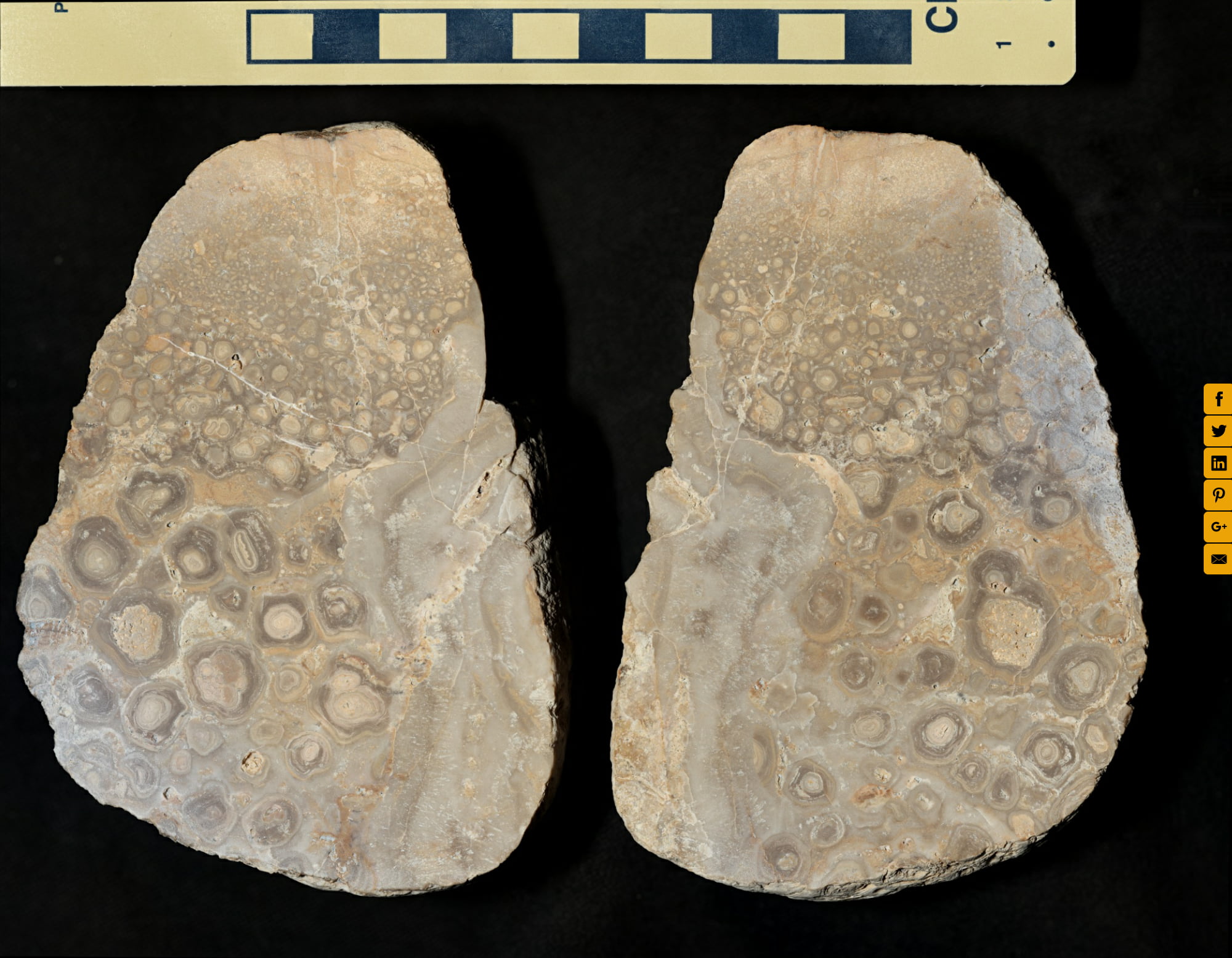 Graded beds of pisolites, Tansil Formation