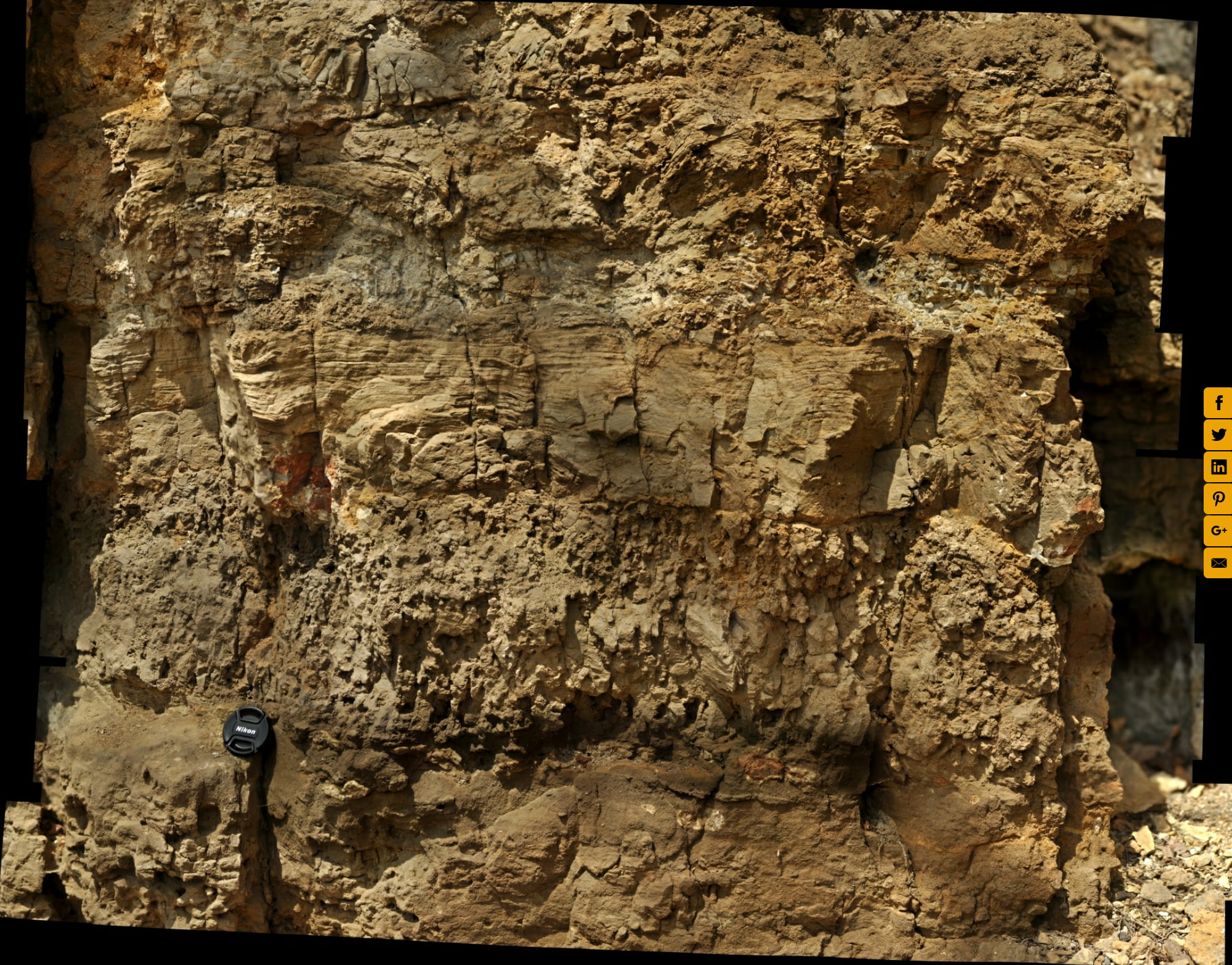 Ordovician Oneota Dolomite 1