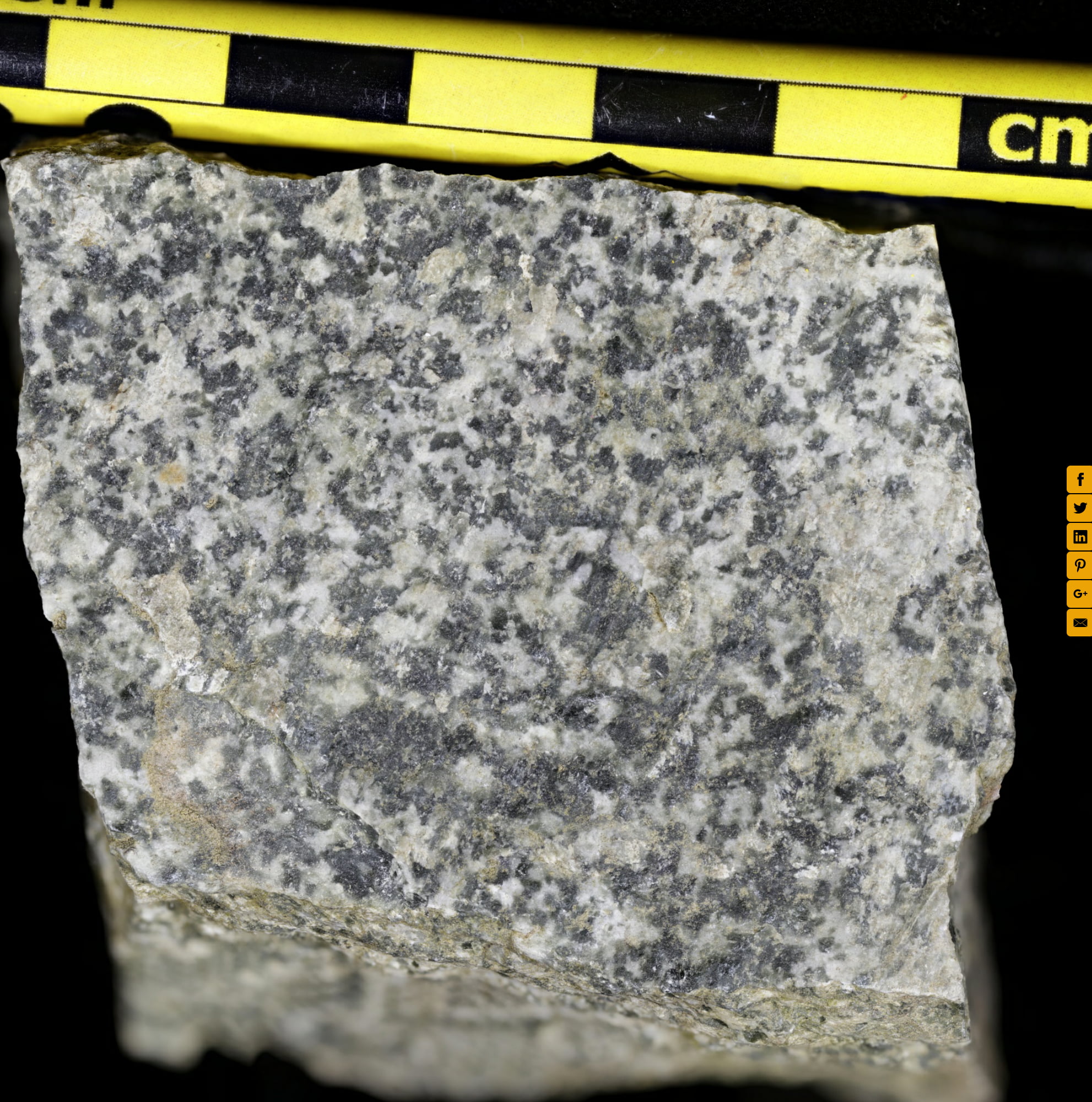 Unknown rock for lab practical