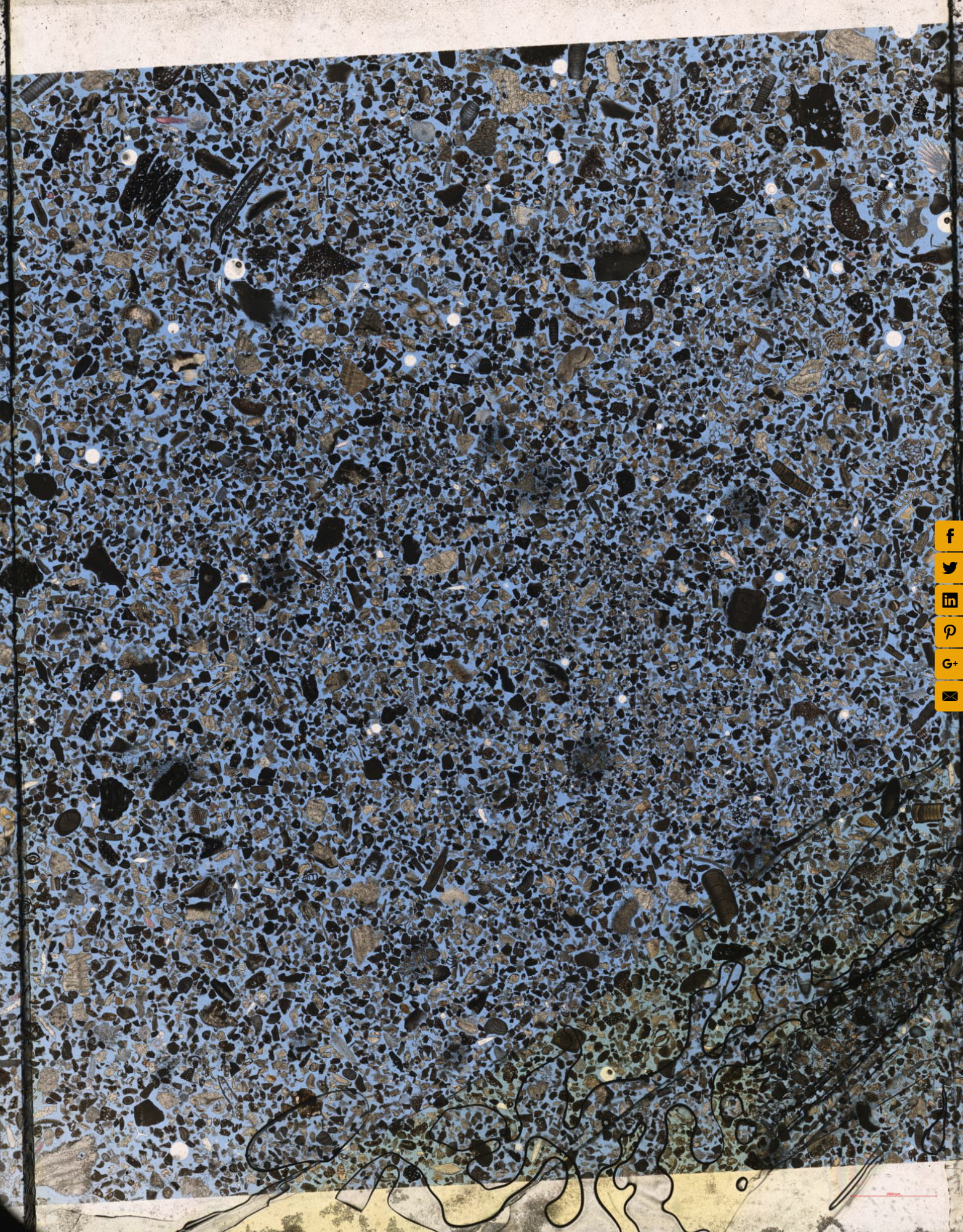 Groove Barrier 10_5x_PPL