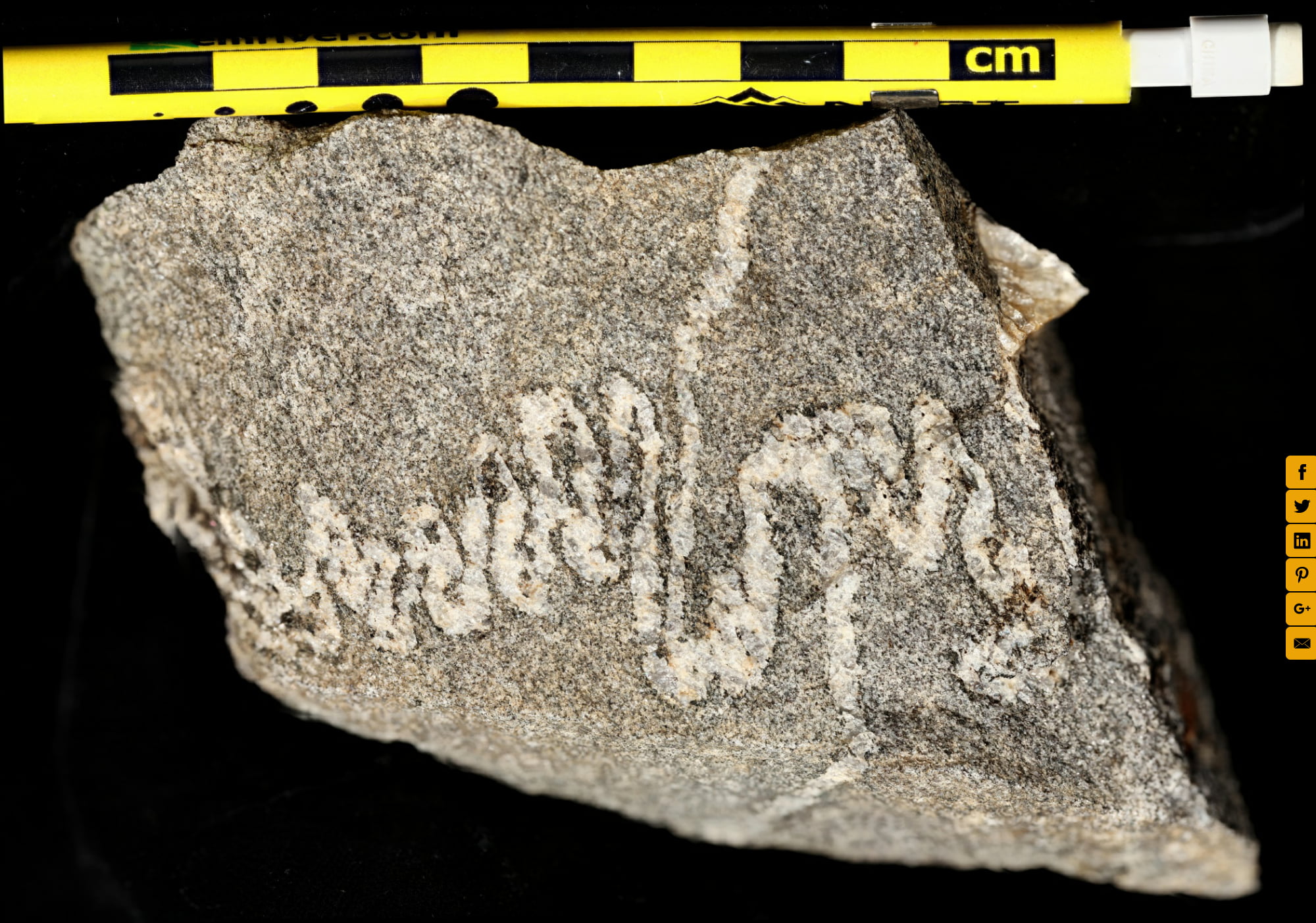 Ptygmatic folding in gneiss