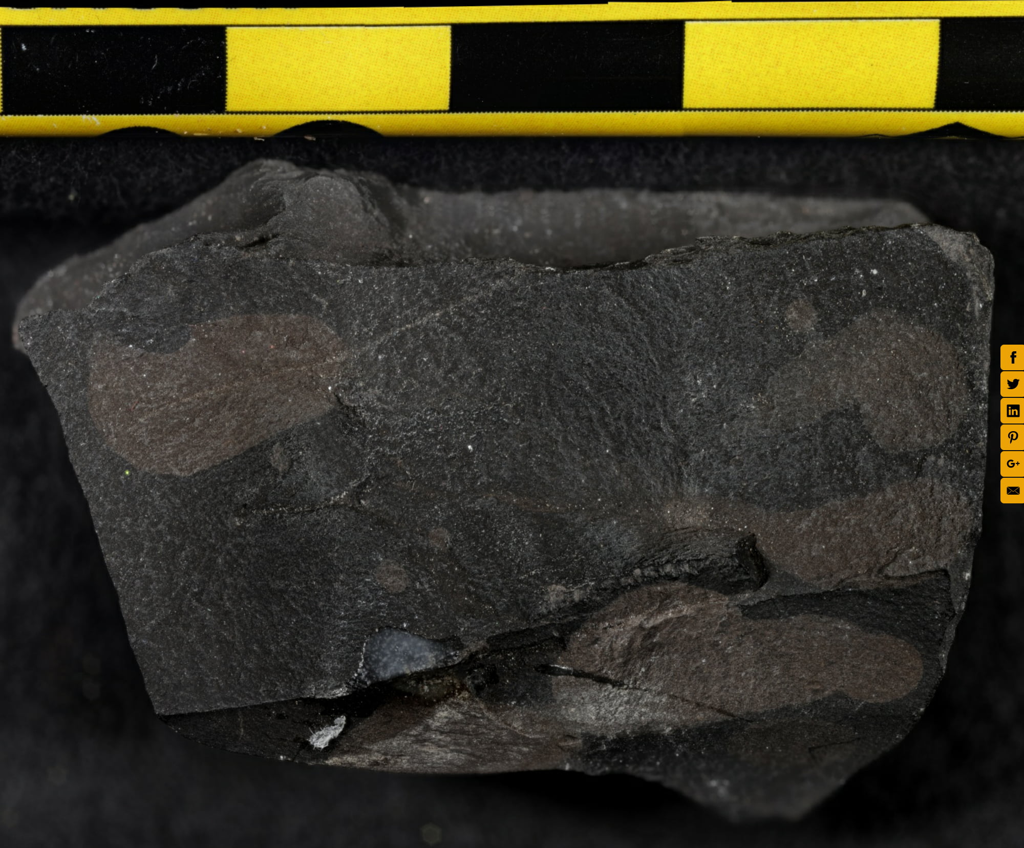 20. Bituminous shale