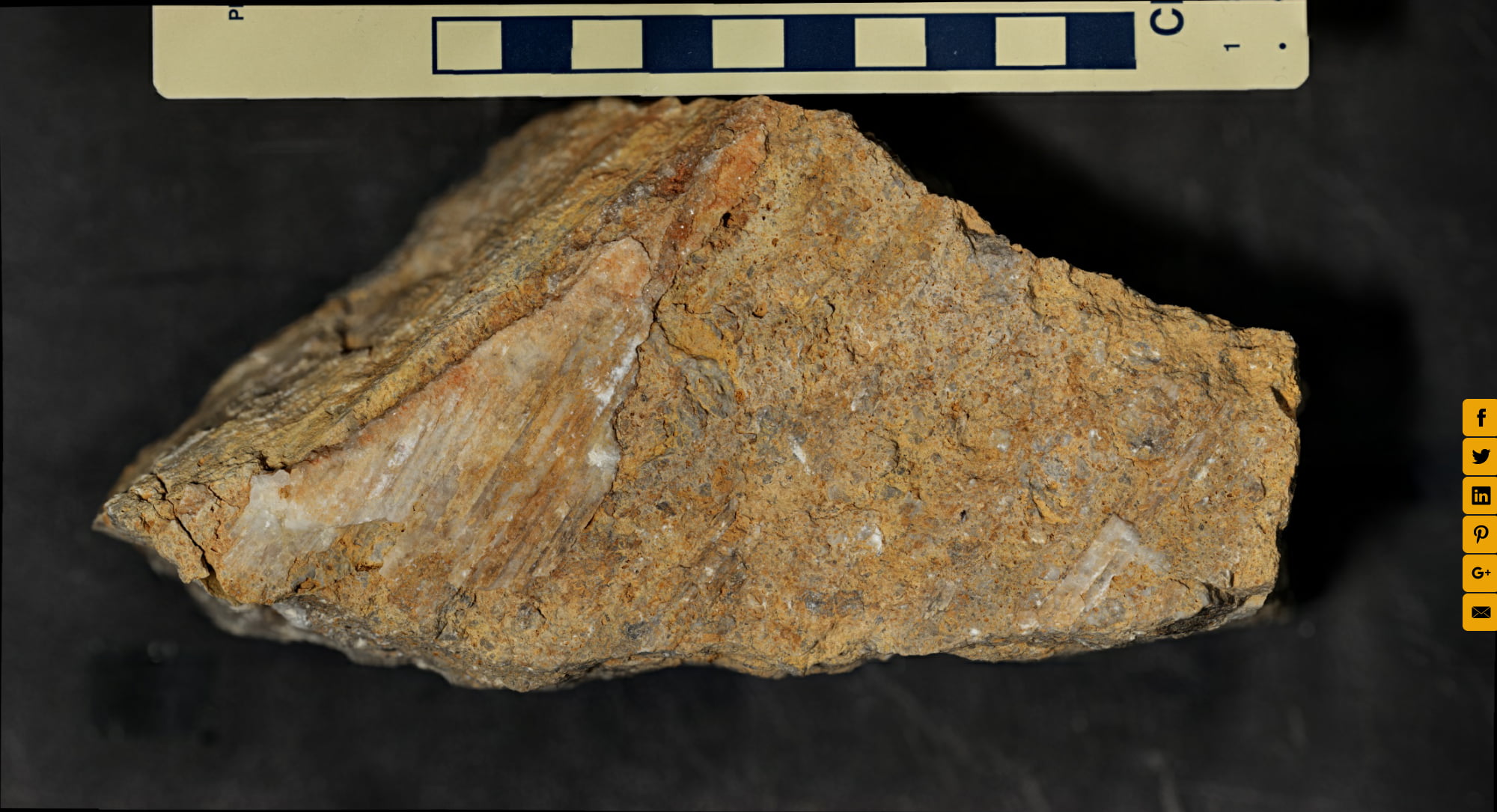 Fault breccia in the Helderberg Group