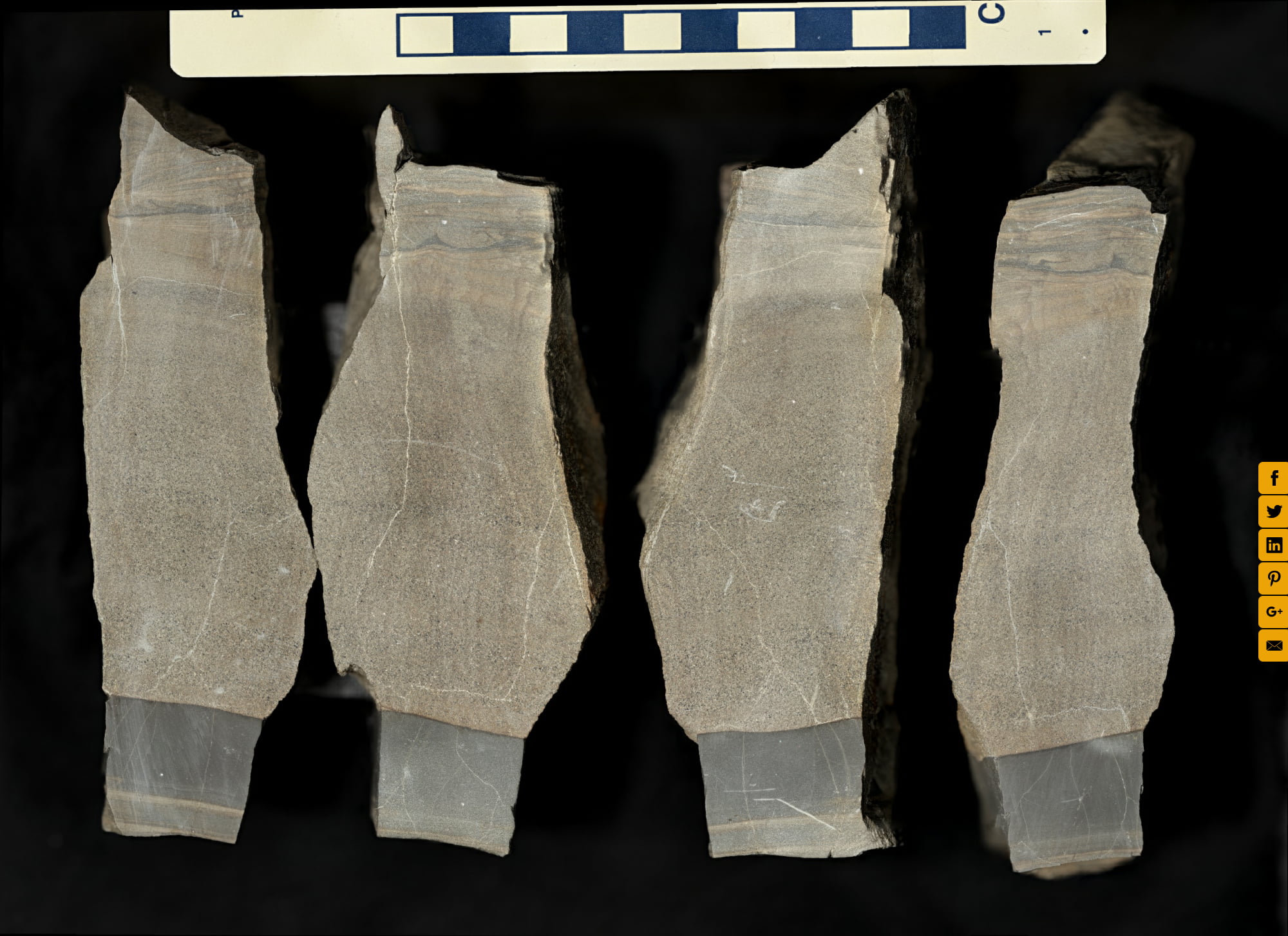 Sedimentary Rocks Lab Sample D