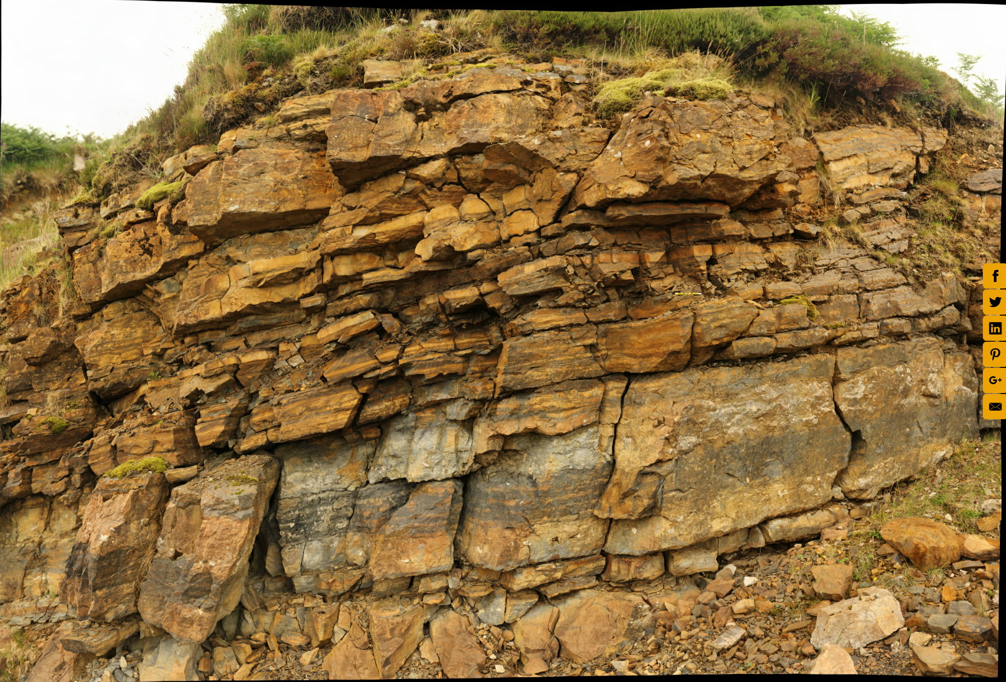 Fucoid Beds, North-West Highlands, Scotland