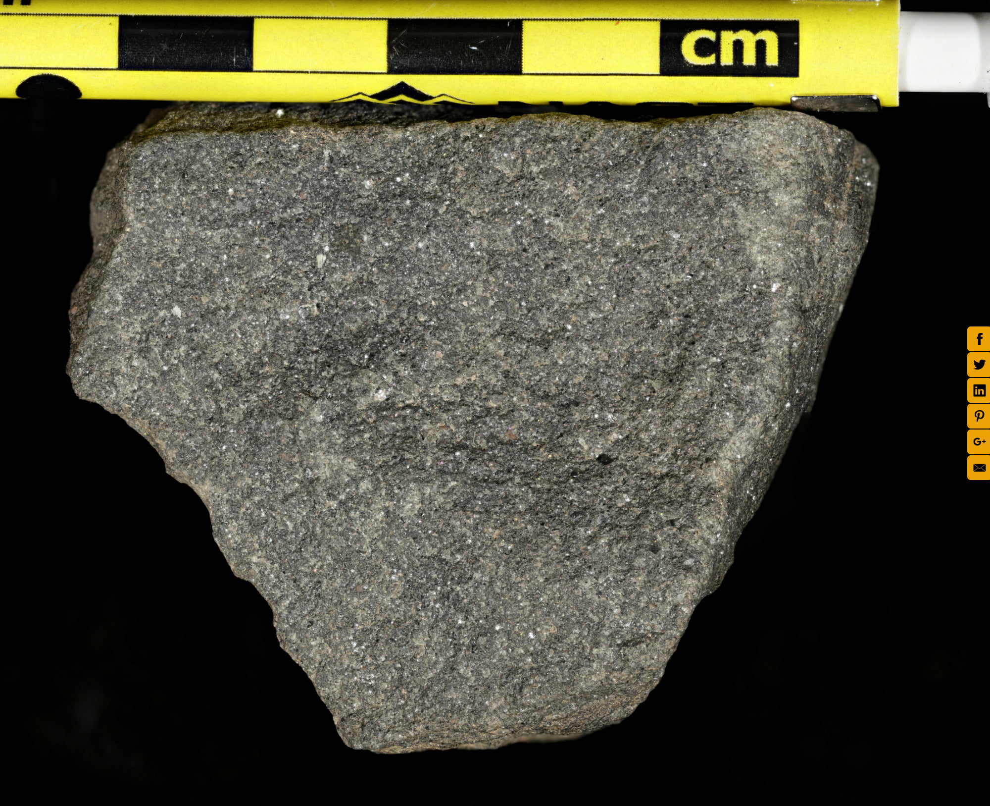 Graywacke from the rock walls high above Siccar Point, Scotland