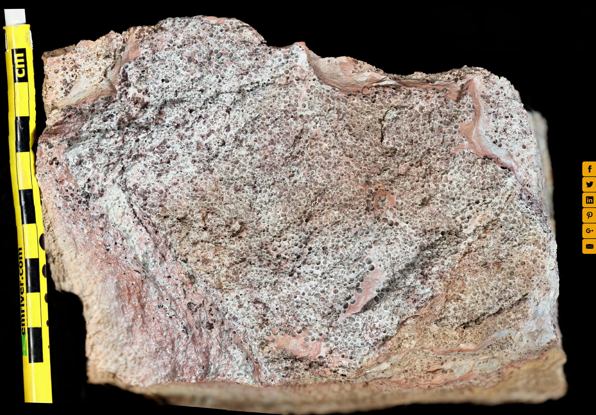 S3 spherulite, Fig Tree Group, Barberton Greenstone Belt