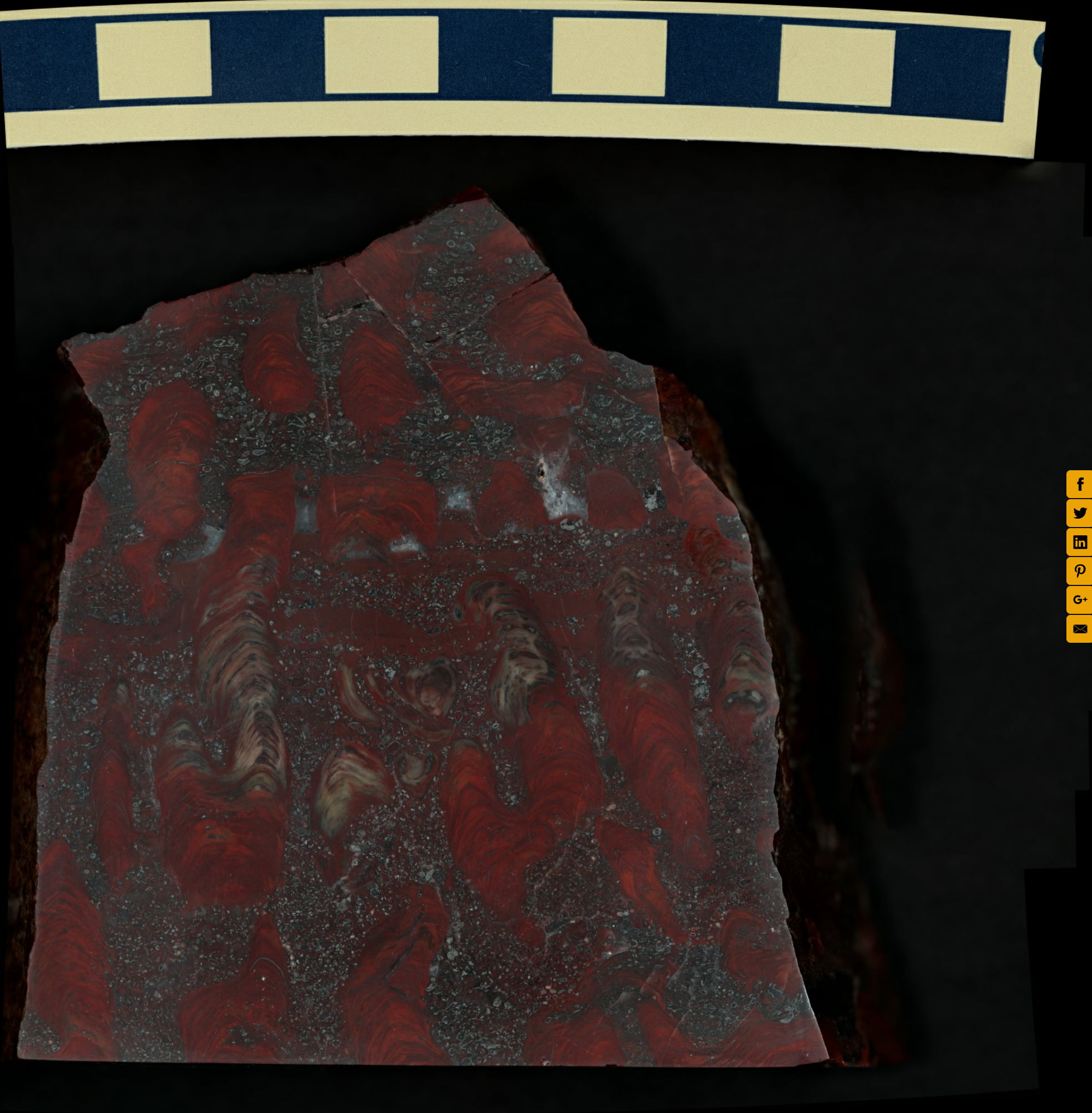 Microbialite in banded iron formation