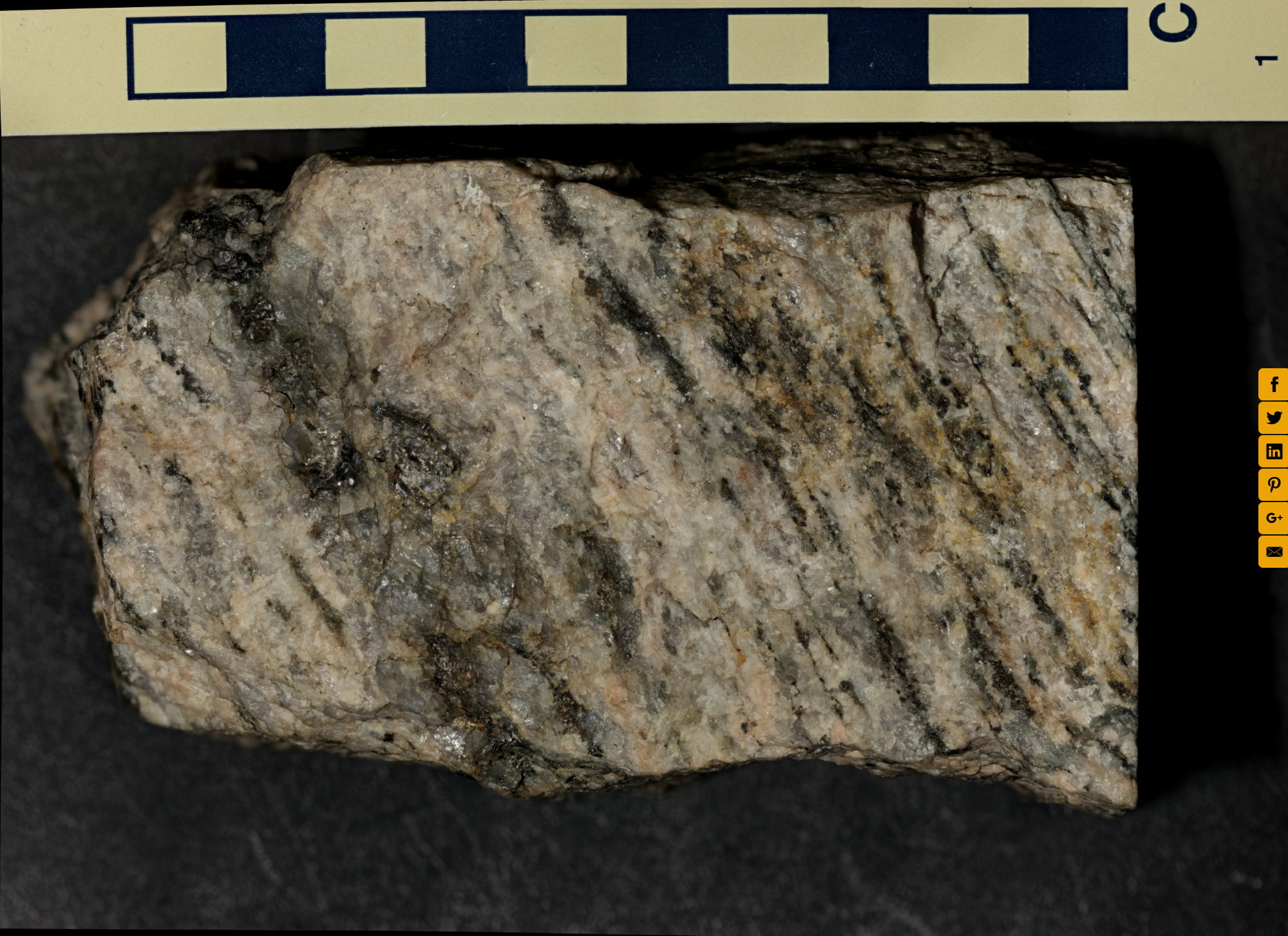 Metamorphic Rocks Lab Sample Q