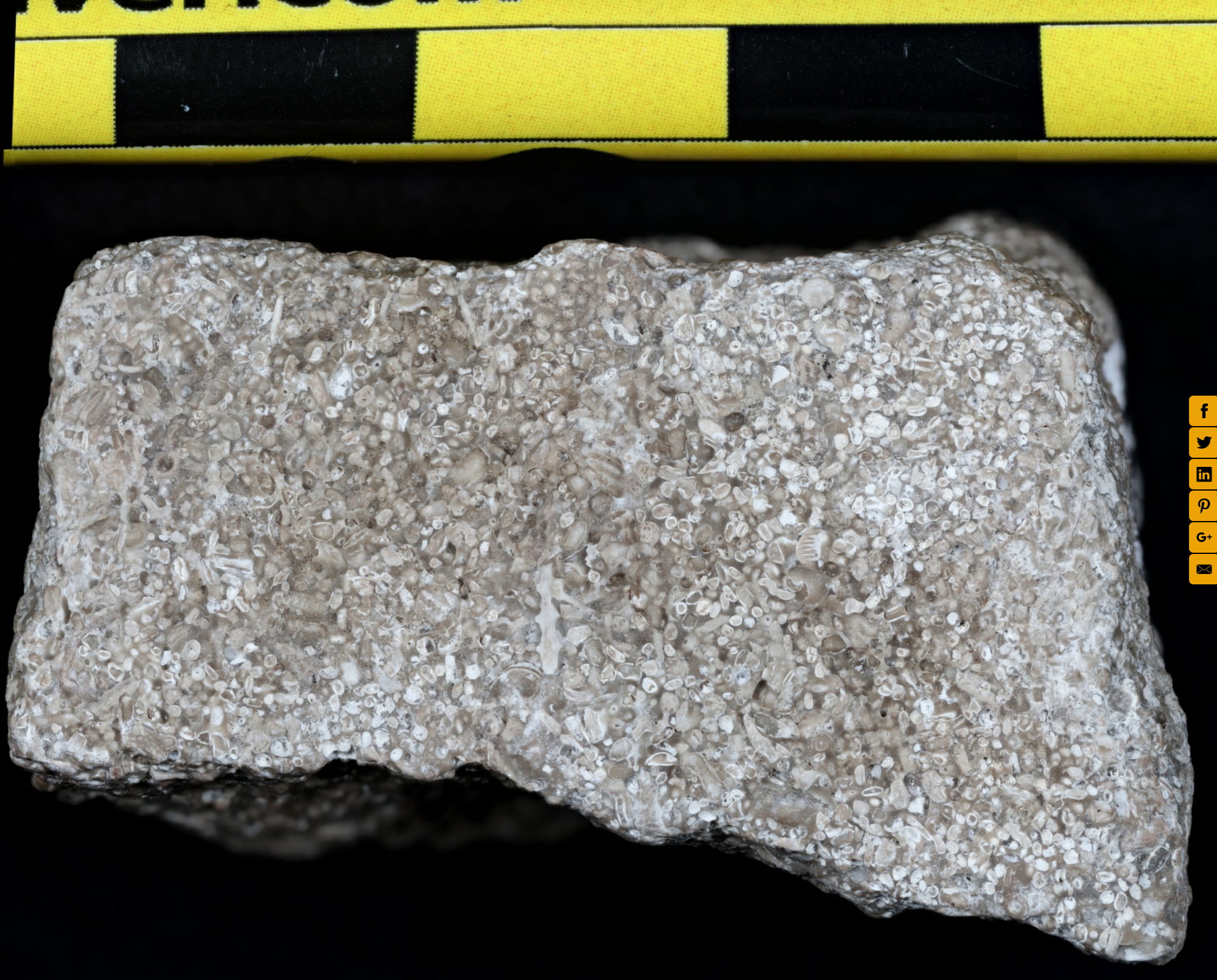 Sedimentary rock ID and interpretation 7b