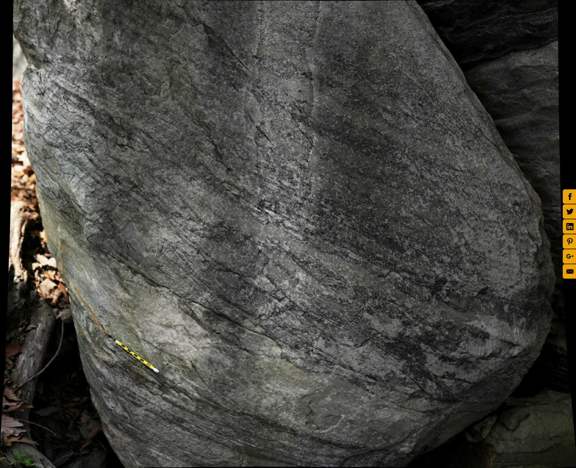 Weverton Formation at Outdoor Lab (Biscuit Mountain)