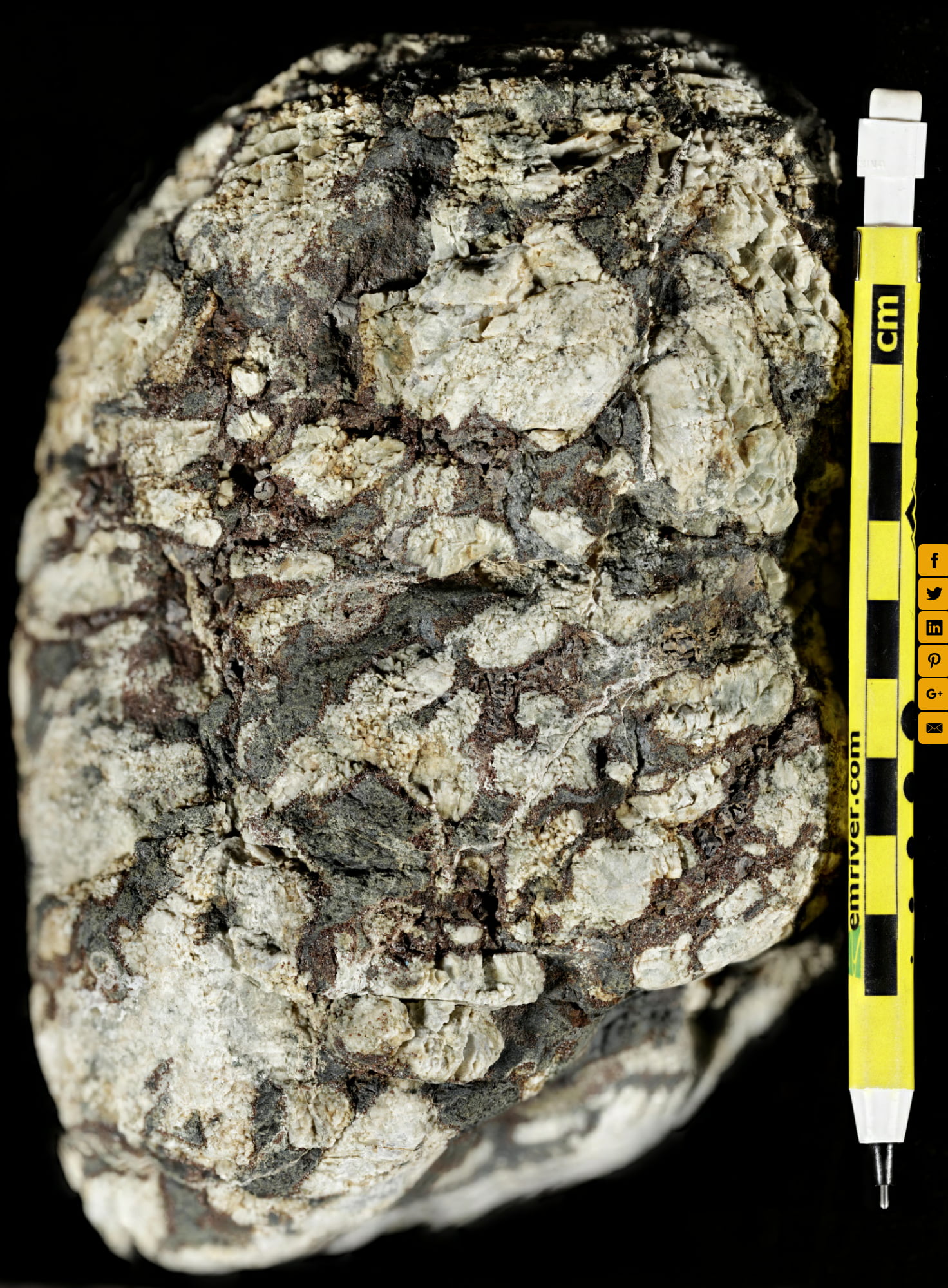 Garnet-bearing anorthosite