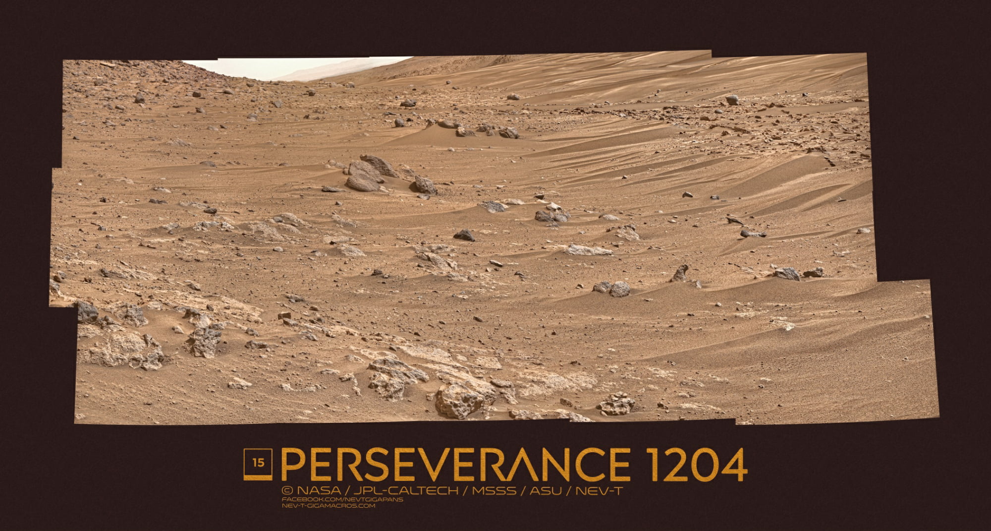 PERSEVERANCE 1204