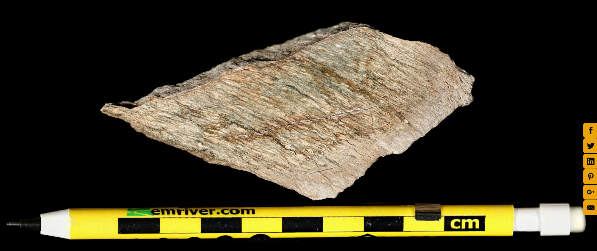 Mylonite (felsic) from the Dover Fault, Newfoundland