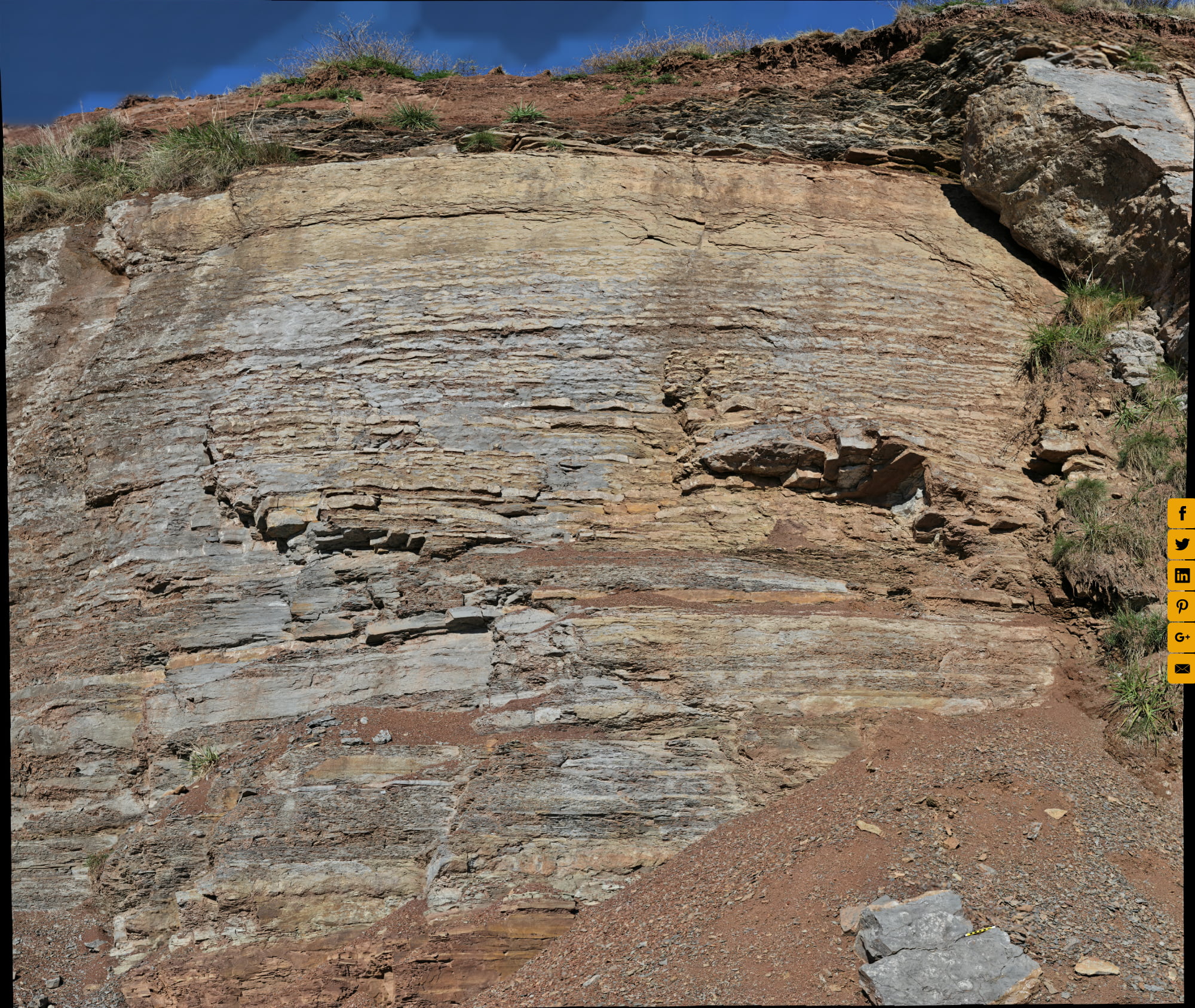 Reynolds Limestone member of the Mauch Chunk Formation, Corridor H ...