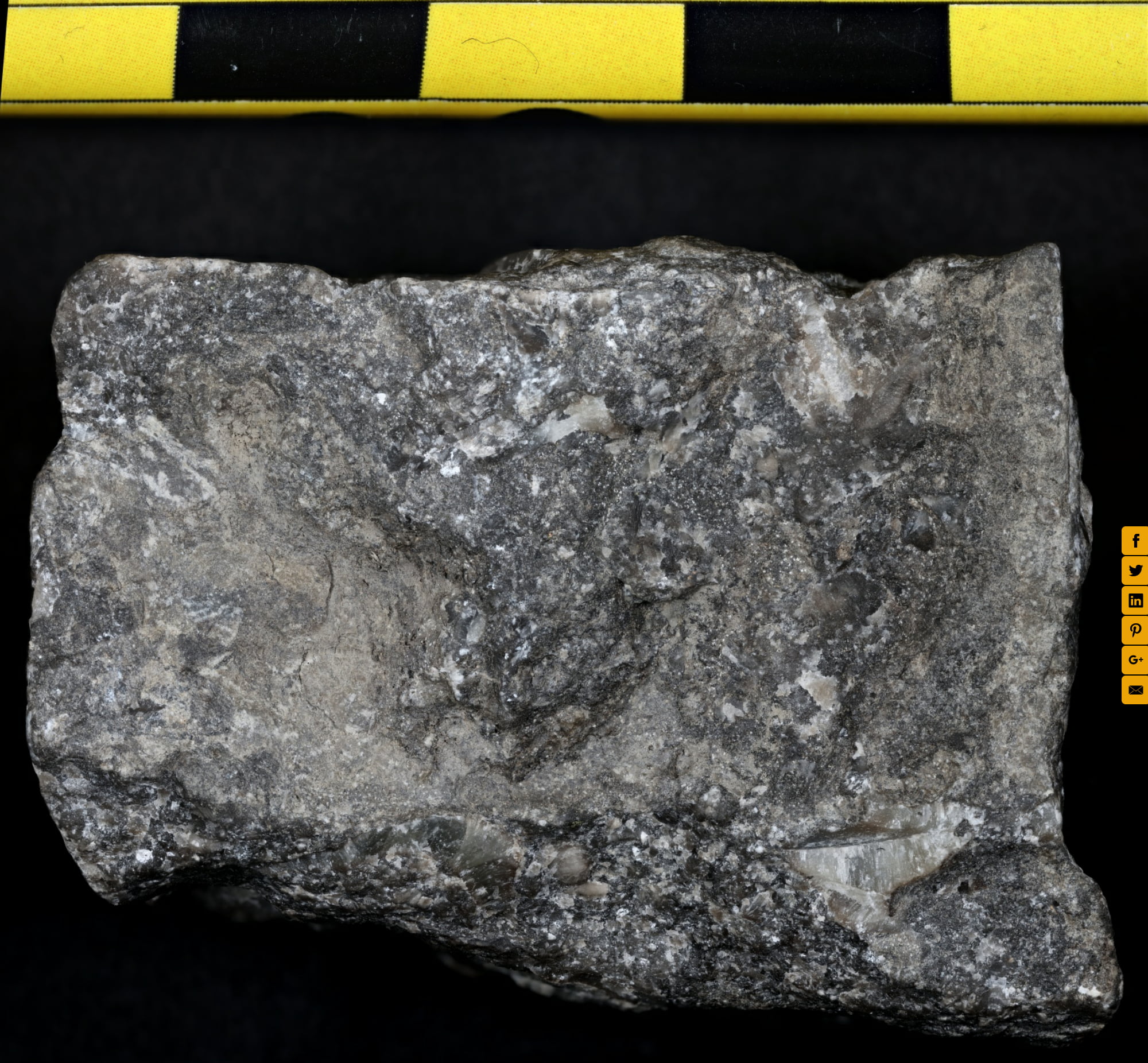 Sedimentary rock ID and interpretation 12a